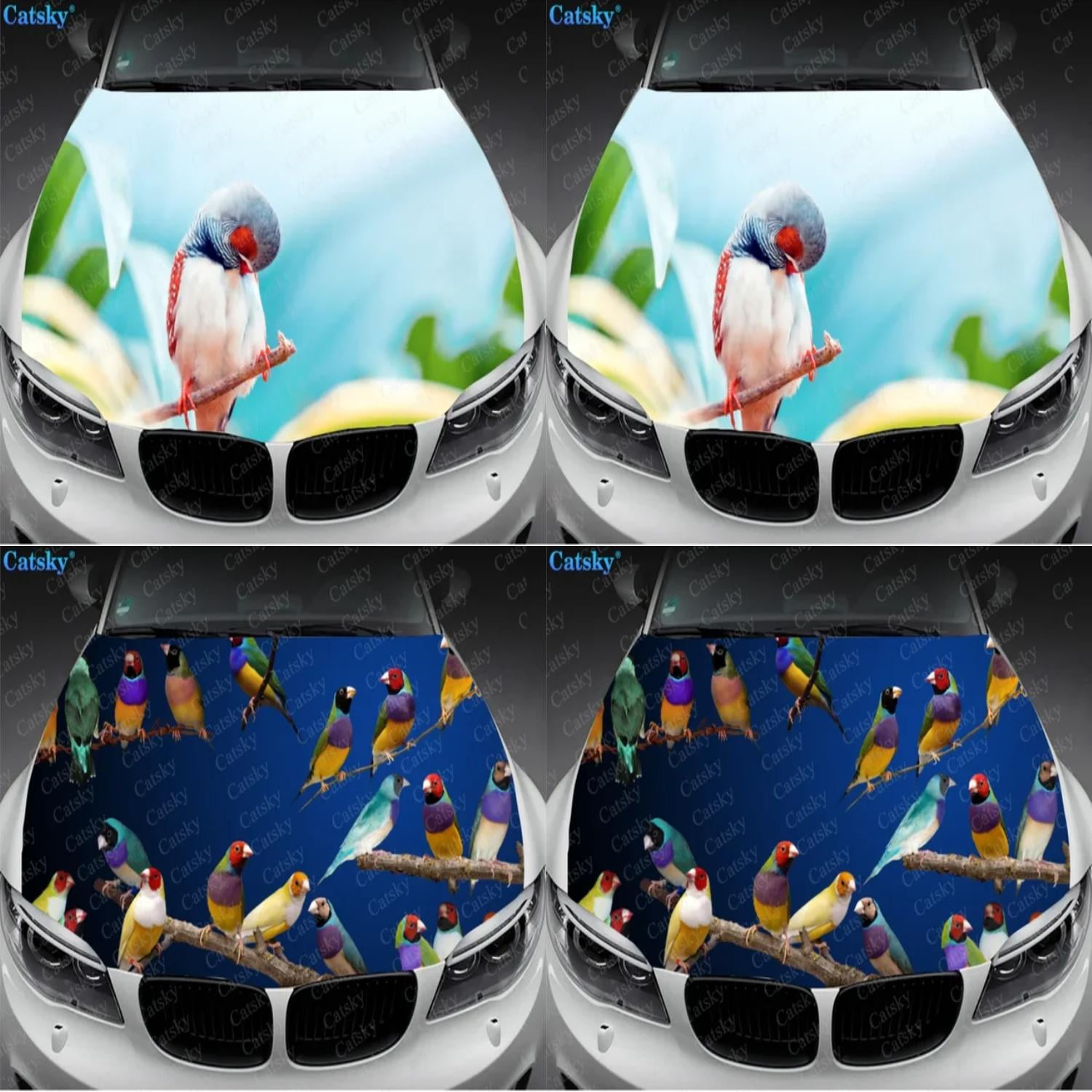 FPWNGL Animal - Finch Cute Birds Car Hood Vinyl Stickers Wrap Vinyl ...