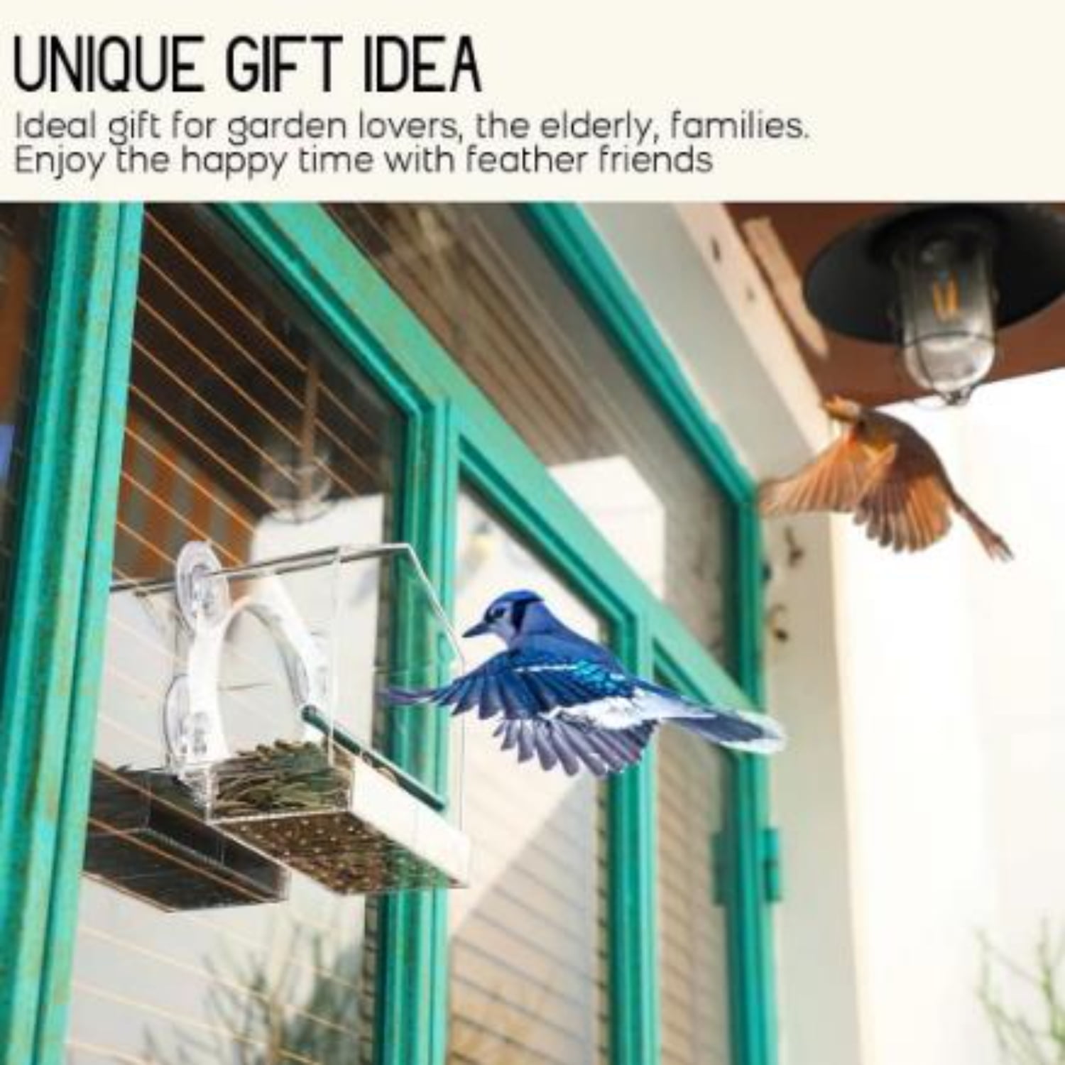 FPWNGL Ideal Clear Transparent Design Window Bird Feeder - Refillable ...