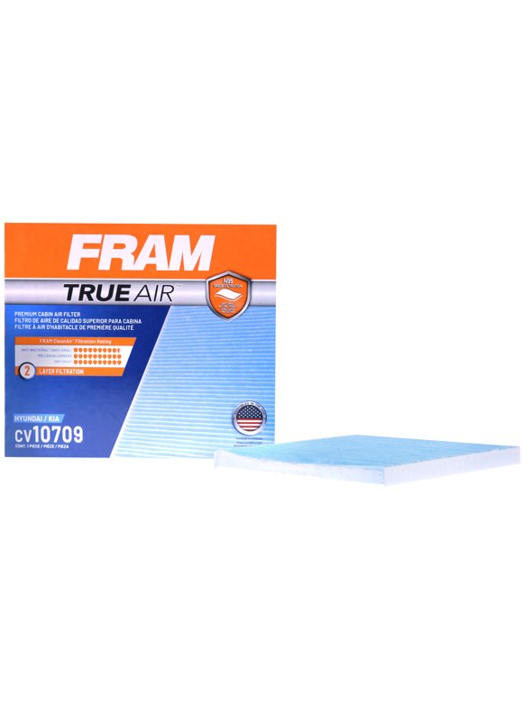 Cabin Air Filters in Auto Filters - Walmart.com