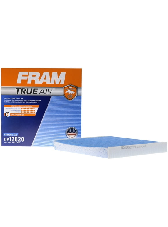 Cabin Air Filters in Auto Filters - Walmart.com
