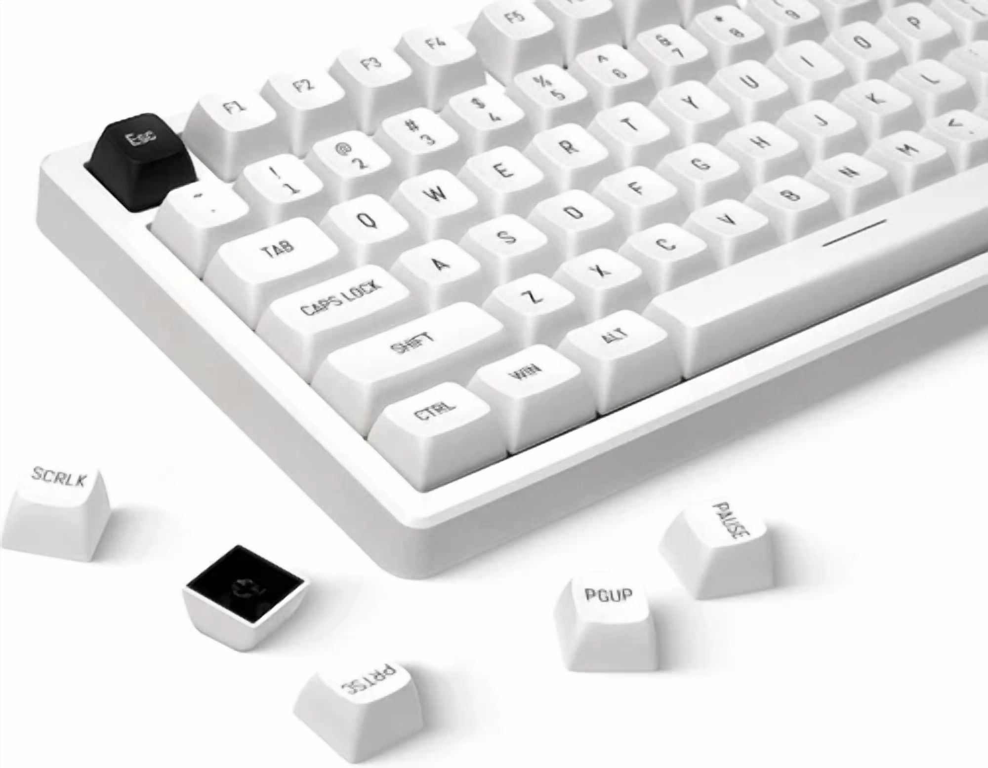 FRAME- White Keycaps Xvx Double Shot Pbt 137 Keys Custom White And ...