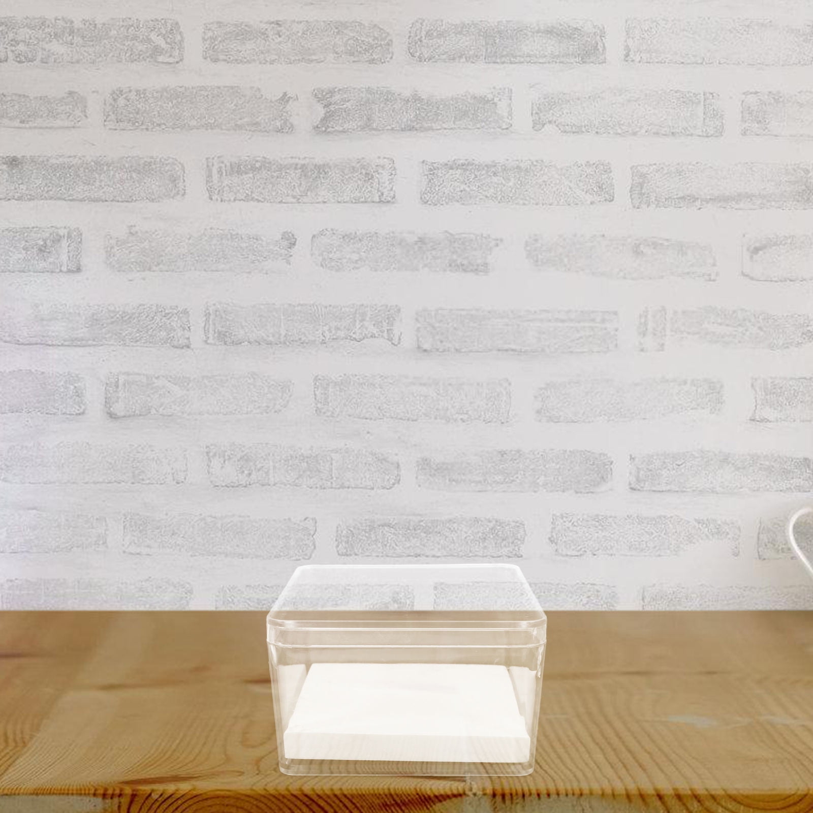 FRCOLOR 1 Set Clear Insect Display Case Specimen Box For Entomology ...