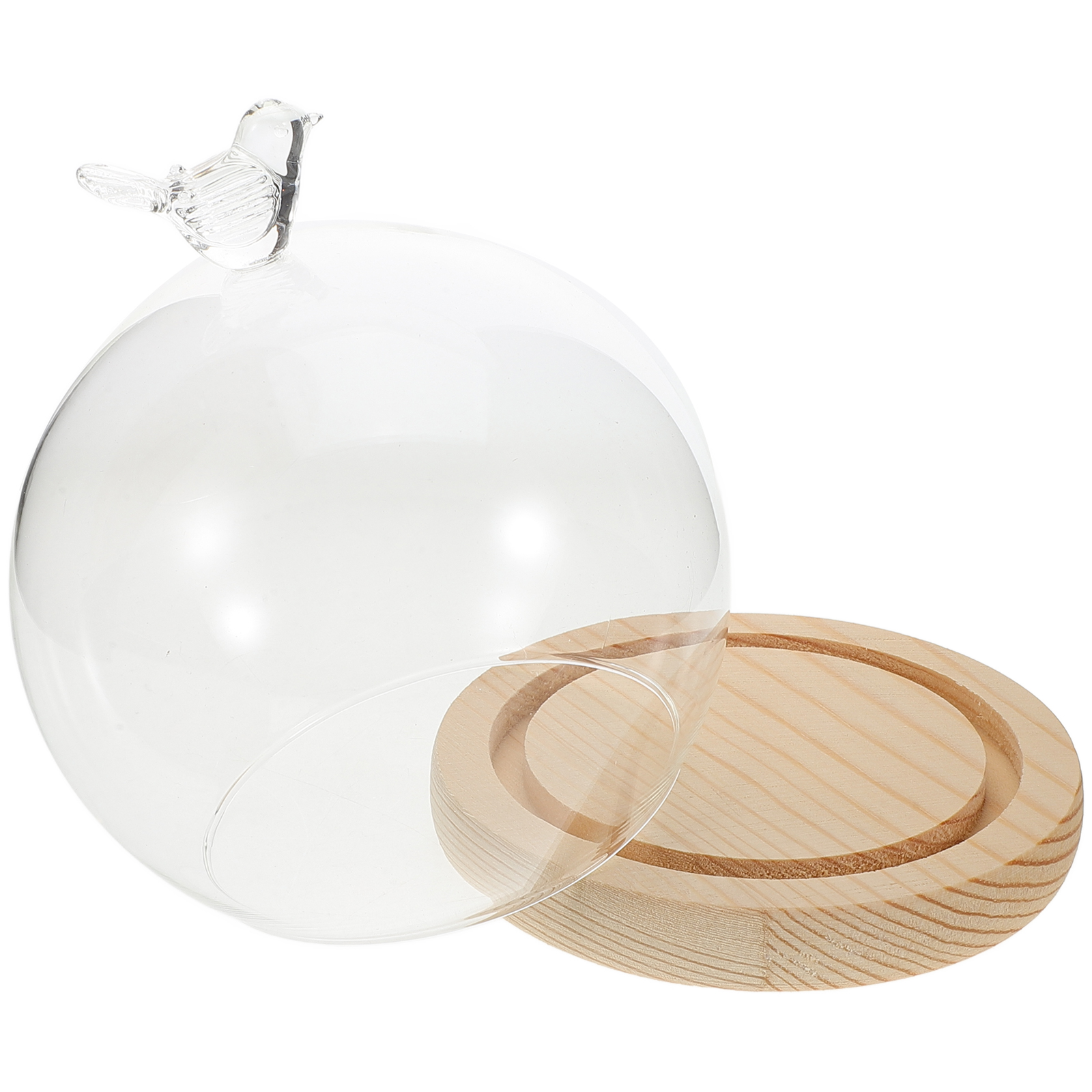 FRCOLOR 1 Set Glass Dome Glass Display Showcase Globe Glass Display ...