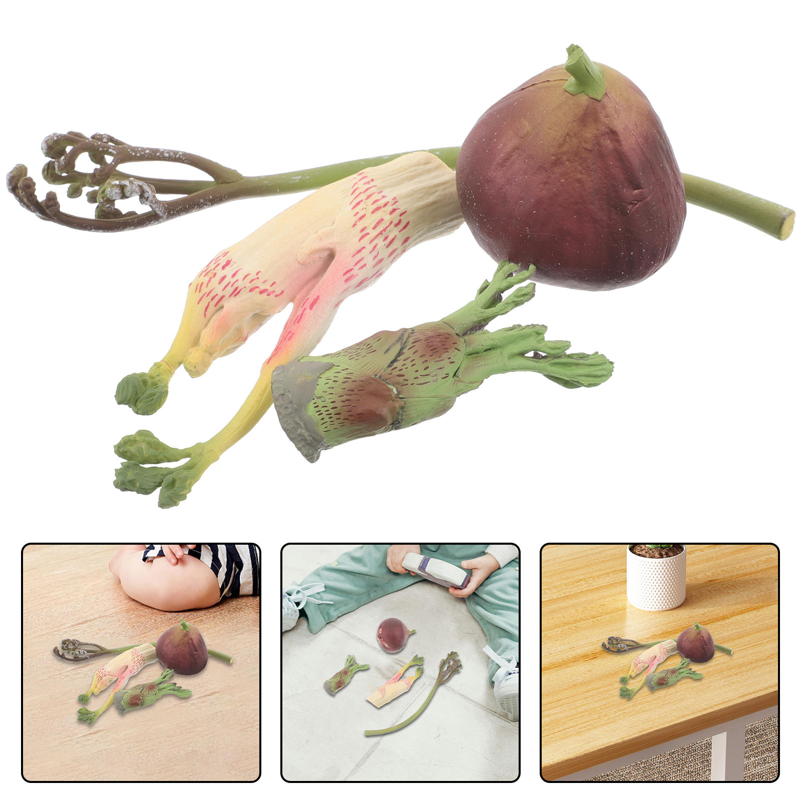 FRCOLOR 1 Set Growing Plants For Kids Artificial Plants Science Toys ...