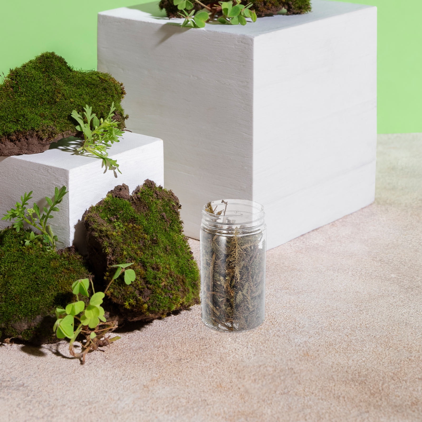 FRCOLOR 1 Set Of Sand Table Grass For Diorama Highly Realistic Bush ...