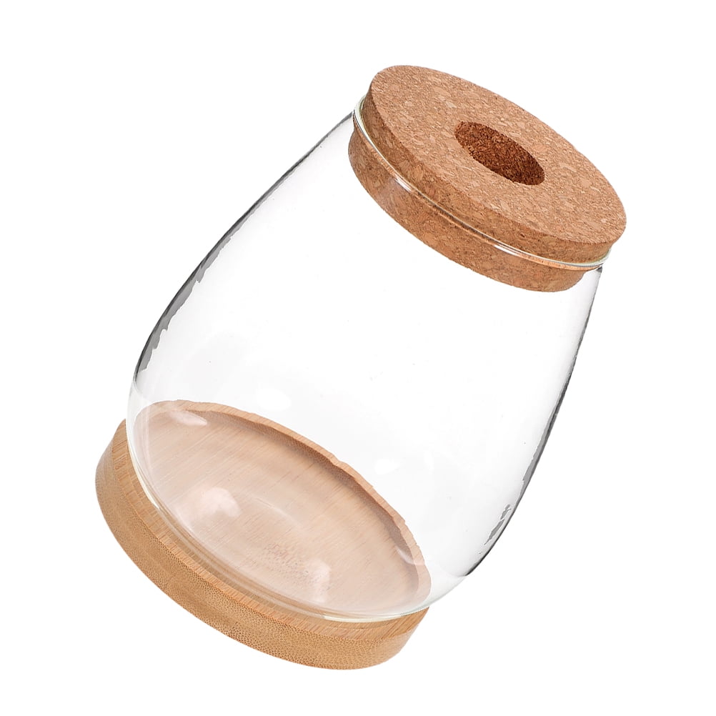 FRCOLOR 1 Set Bamboo Glass Plant Terrarium for Indoor Decoration ...