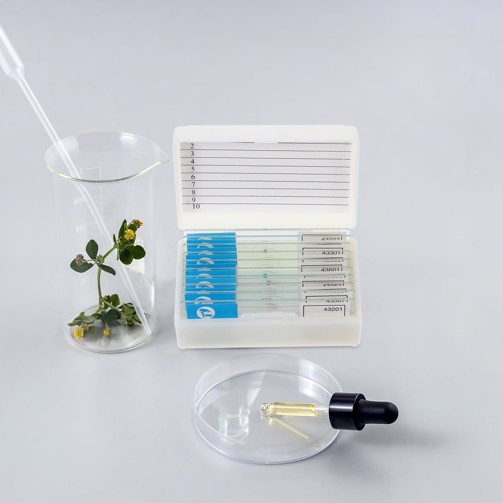 FRCOLOR 1 Set Professional Prepared Microscope Slides for Students ...