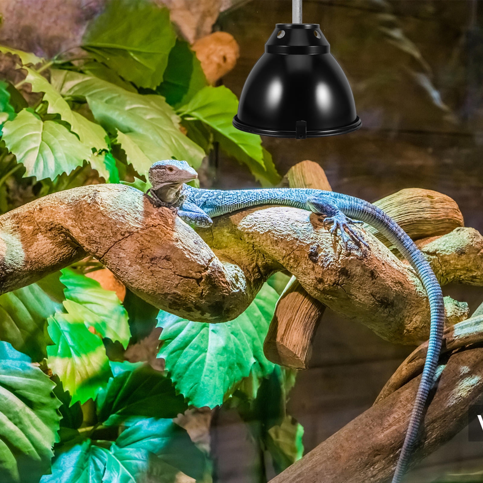 FRCOLOR 1 Set Reptile Light Dome Cover Aluminum Heat Lamp Guard Safety Lizard Snake Turtle Heat ...