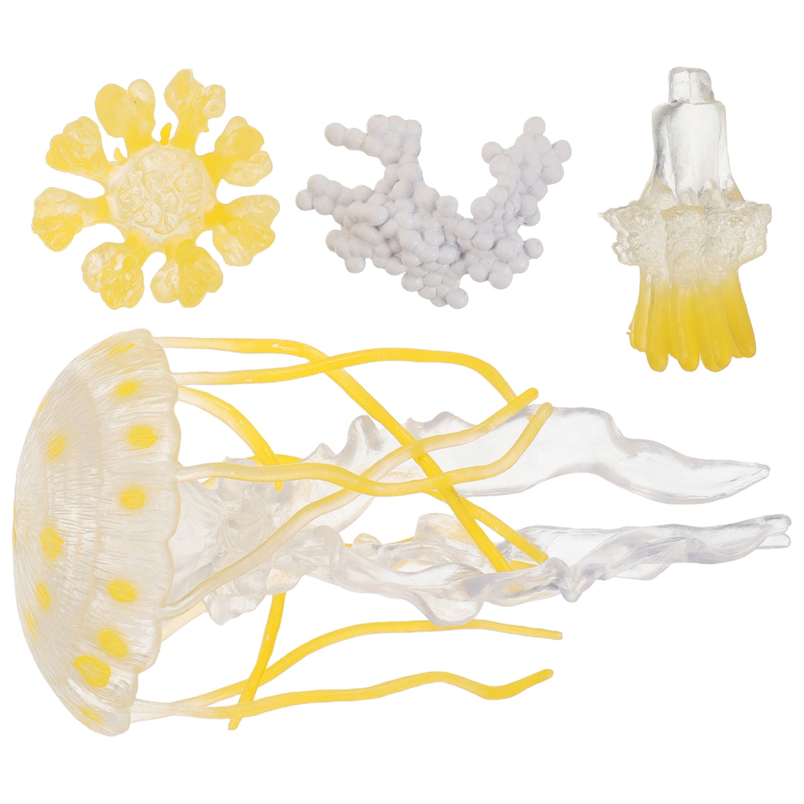 FRCOLOR 1 Set Sea Creatures Toy for Kids Life Cycle Figurines Plastic ...