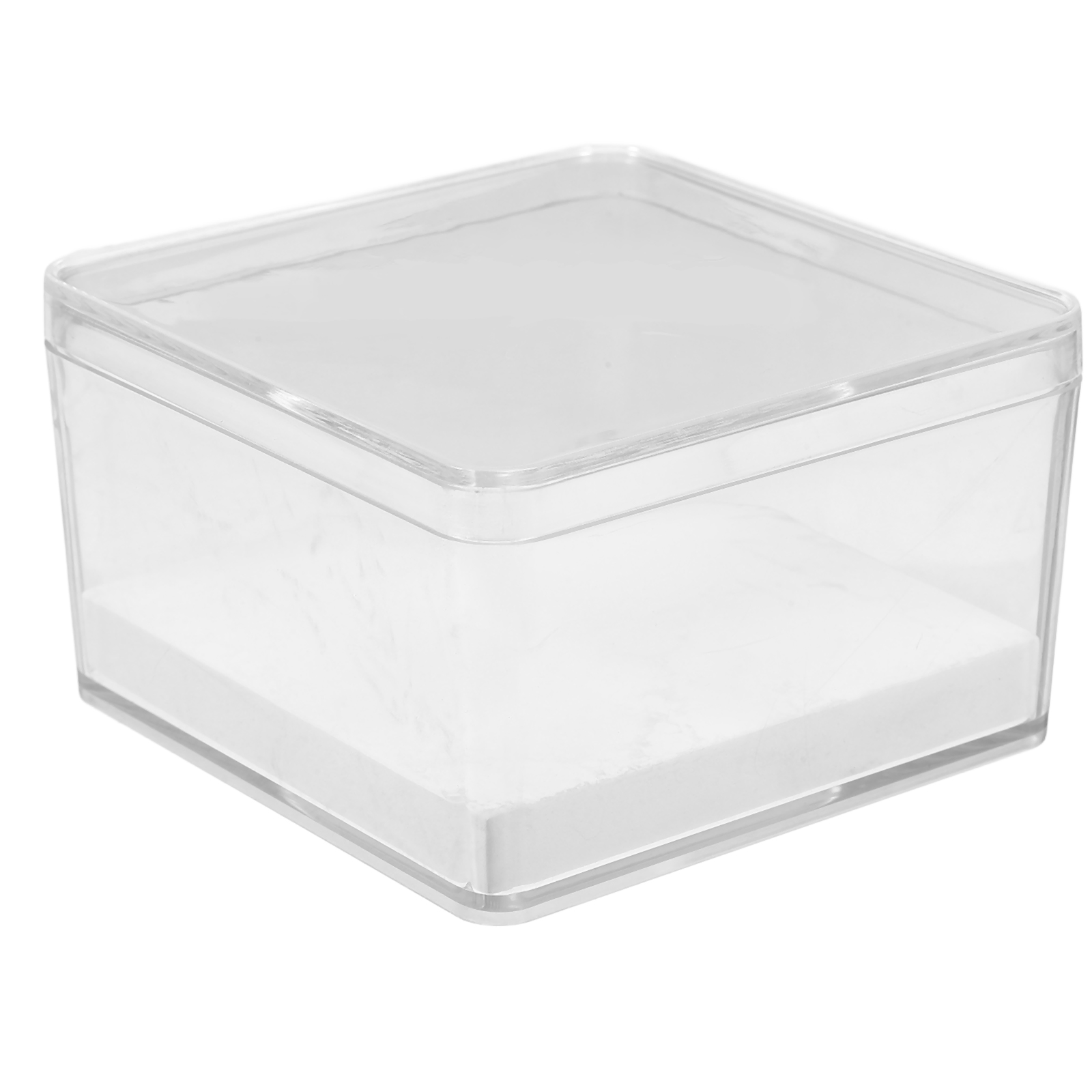 FRCOLOR 1 Set Small Transparent Specimen Insect Specimen Box Displaying ...