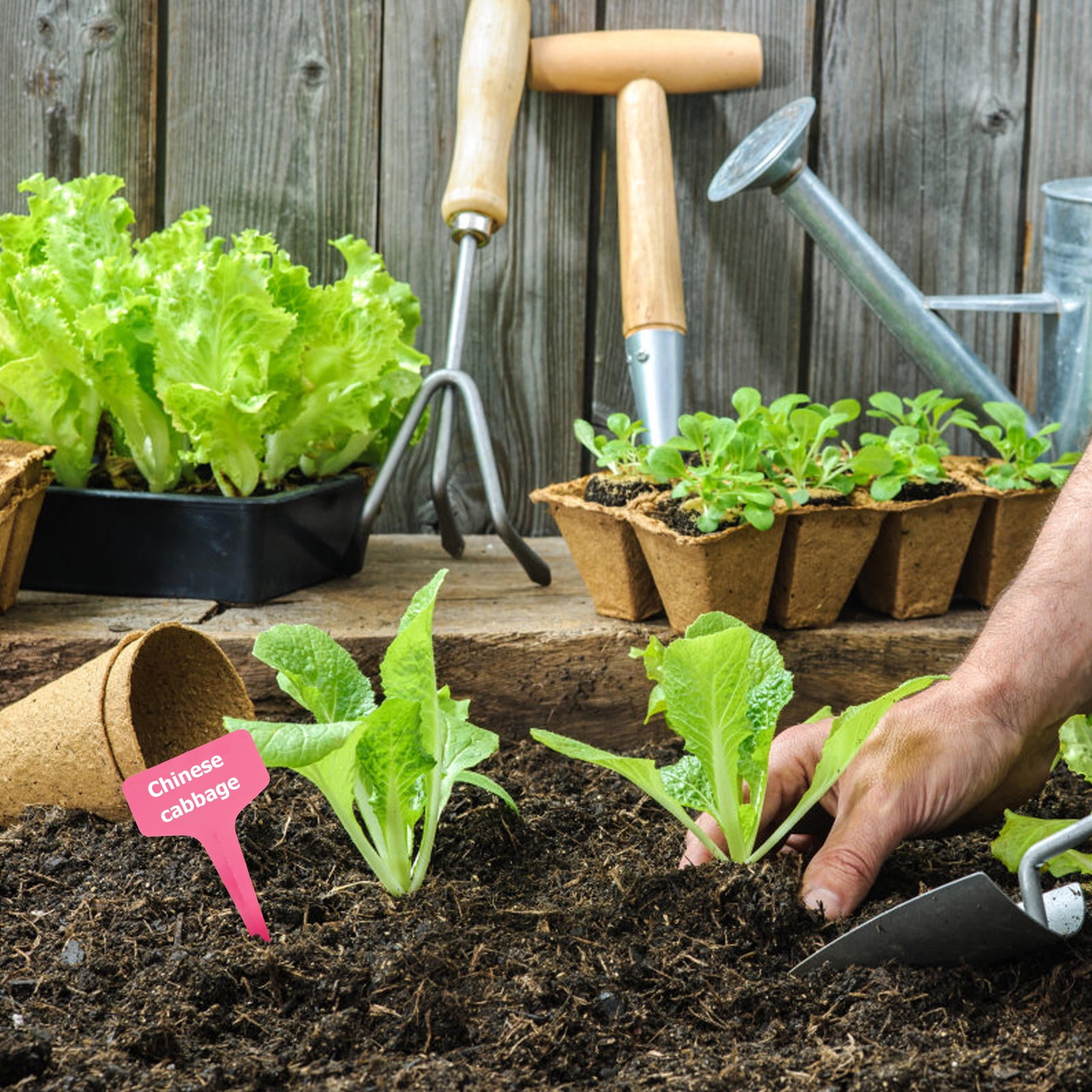 FRCOLOR 100 Pcs Vegetable Garden Signs Outdoor 型标签 Herb Labels PP ...