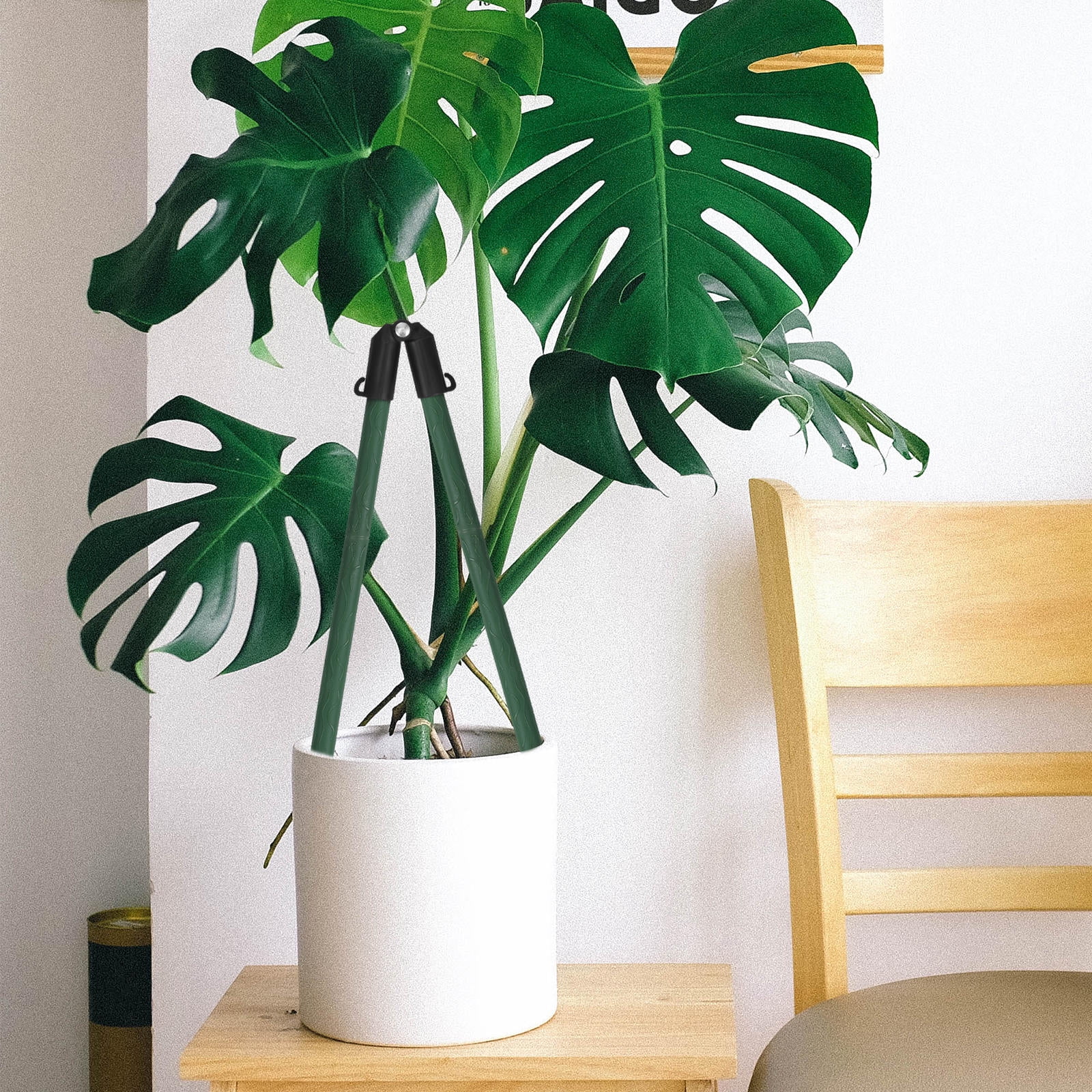 FRCOLOR 10pcs Adjustable Plant Plastic Connector B-type Gardening Plant ...