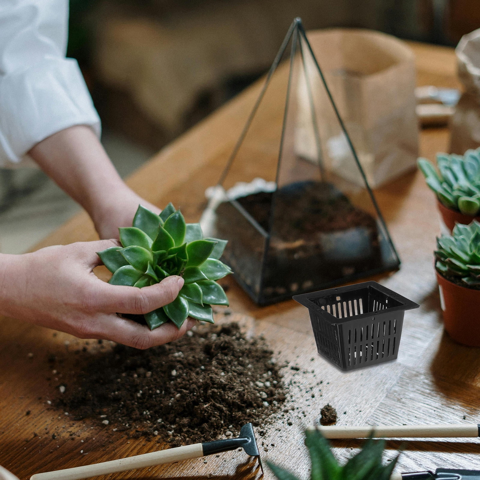 FRCOLOR 12Pcs Black Plastic Net Pot Starter Pots Square Nursery ...