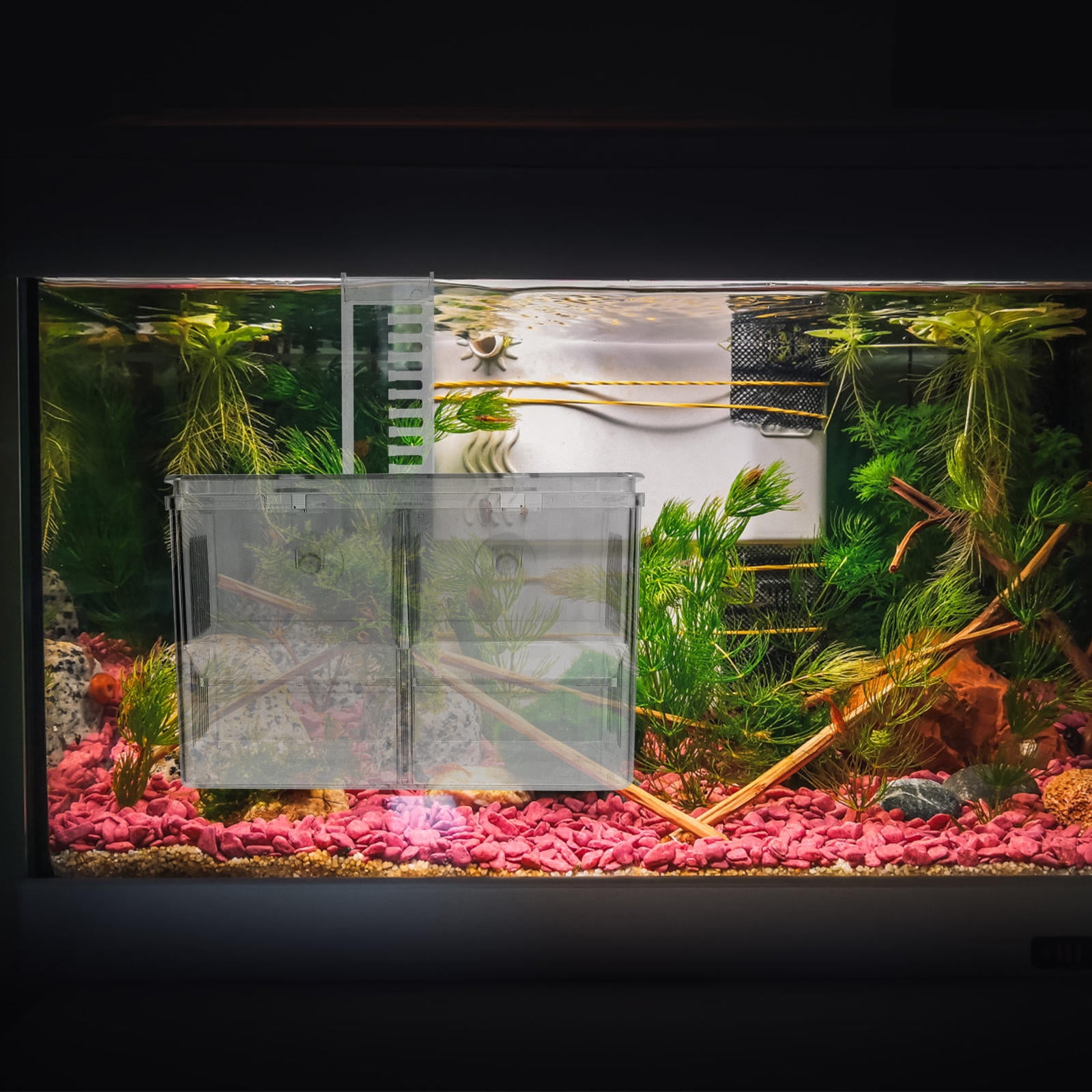 FRCOLOR 1Pack Isolation Box for Aquarium Fish in Transparent PE ...
