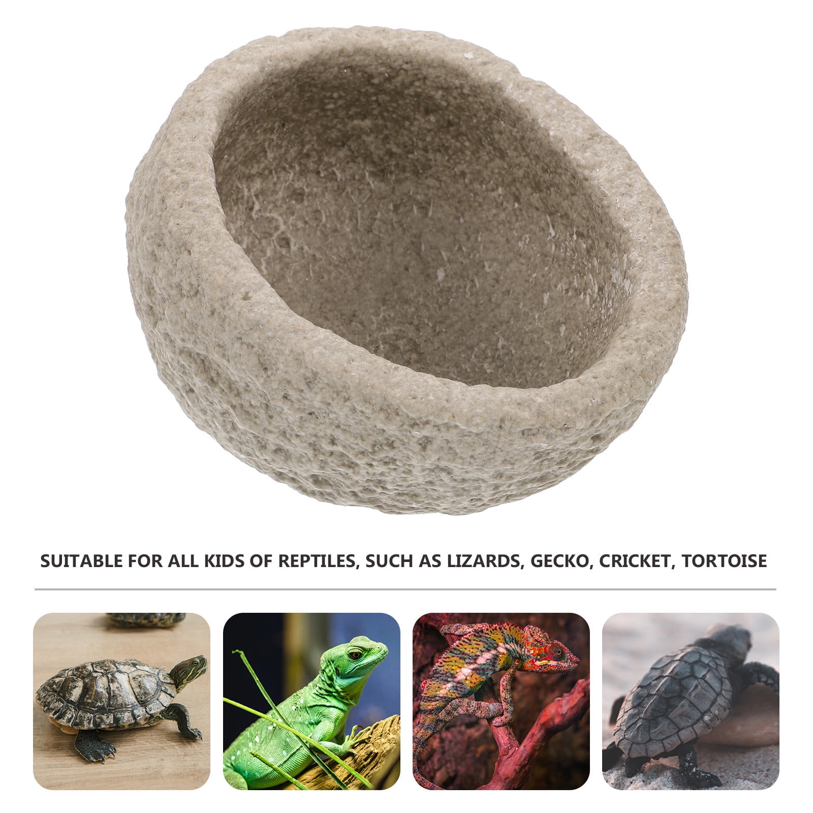 FRCOLOR 2 Pcs Chameleon Feeding Bowl Reptile Food Container Lizard ...