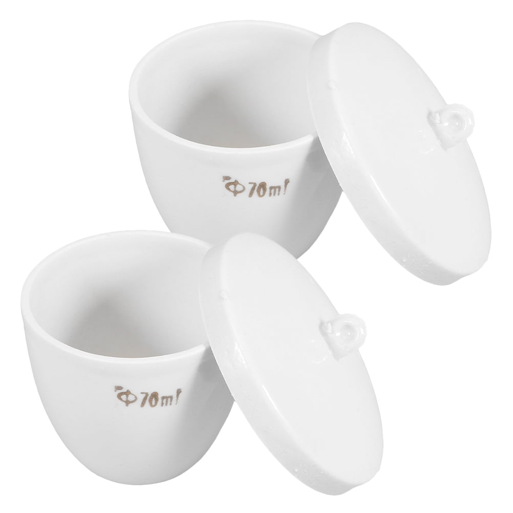 FRCOLOR 2 Pcs High Purity Porcelain Crucible for Metal Melting and ...