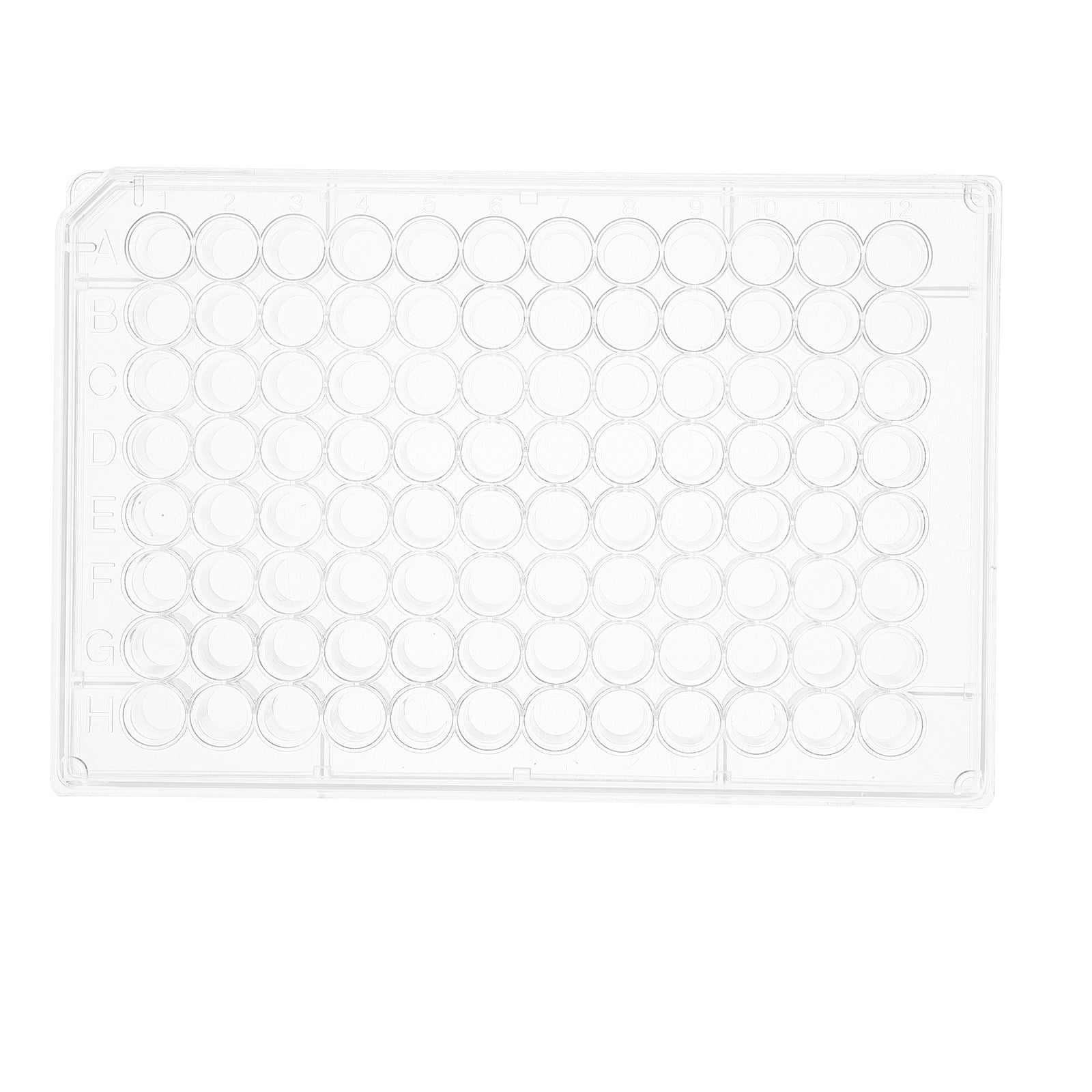 FRCOLOR 2 Pcs Tissue Culture Plate with Lid Plates for Lab Cell ...