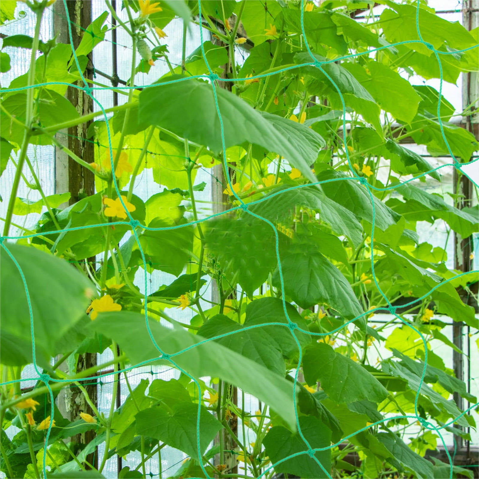 FRCOLOR 2 Pcs Trellis For Climbing Plants Outdoor Garden Netting Green ...