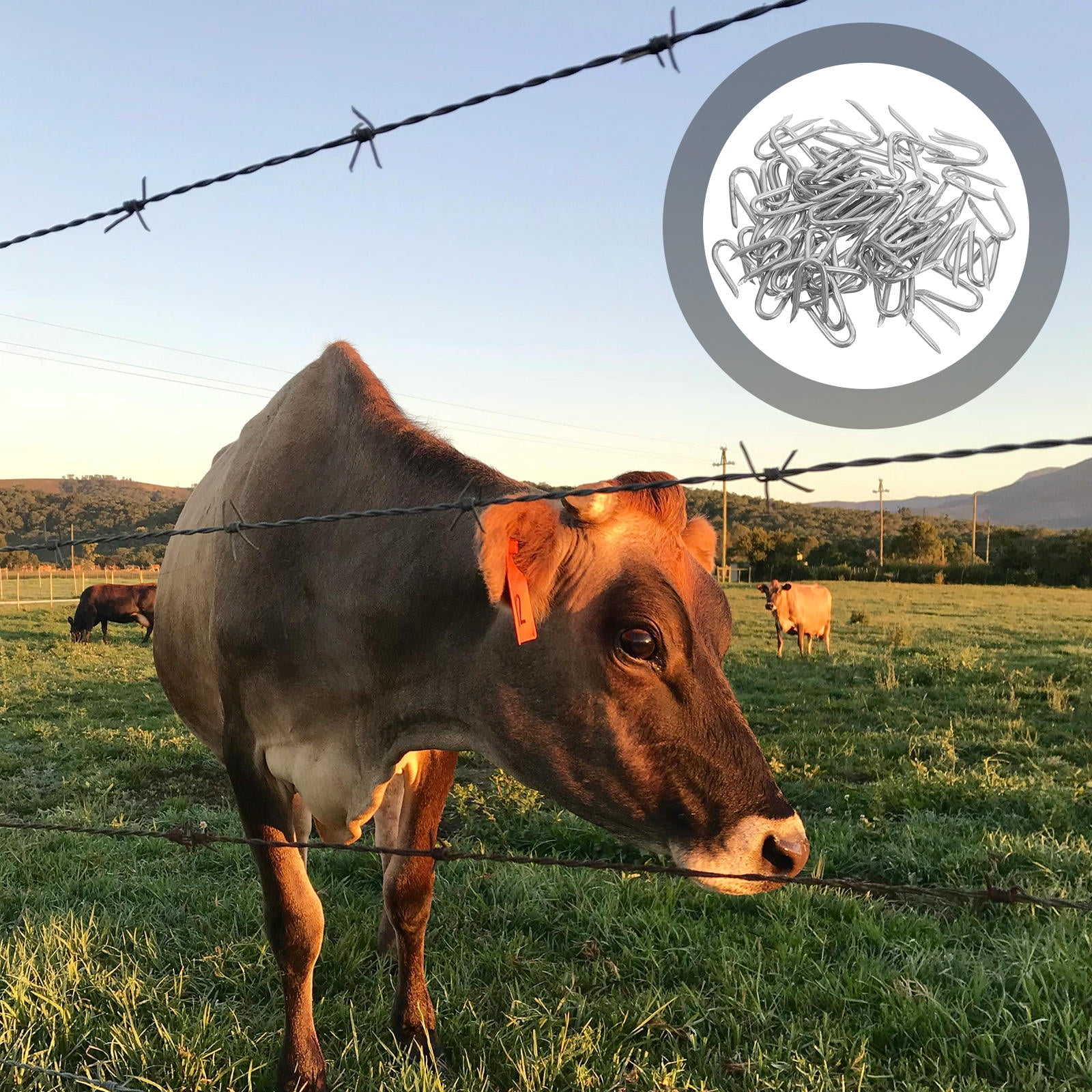 FRCOLOR 200pcs U-Shaped Nails For Fence Fencing Staples Heavy-Duty U ...