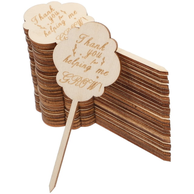 FRCOLOR 25pcs Succulent Wooden Tags Bamboo Plant Markers T-Type Thank ...