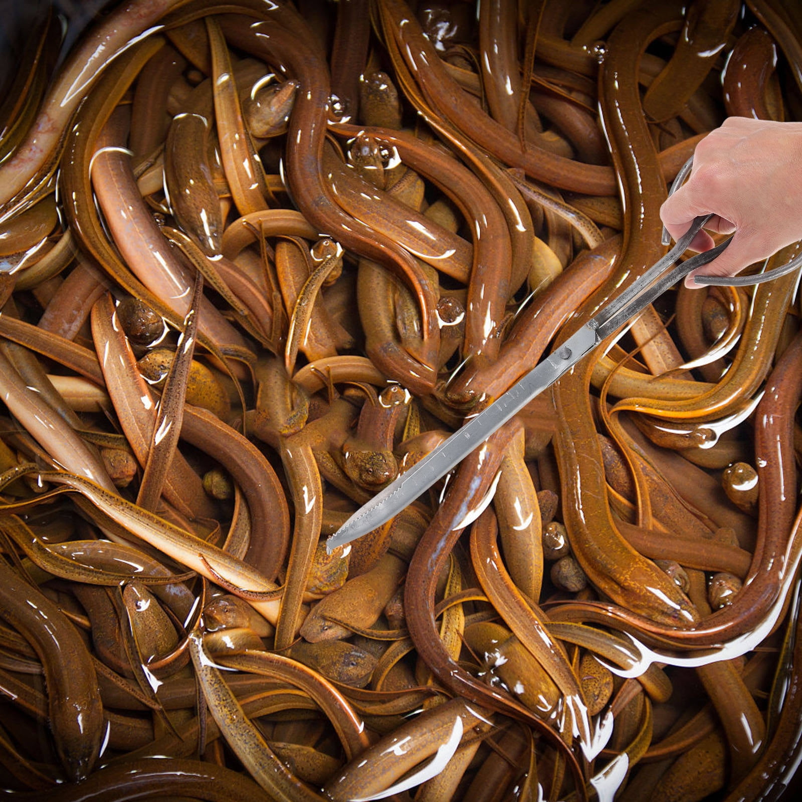 FRCOLOR 29Pcs Metal Crab Tong High Strength Fish Gripper for Outdoor ...