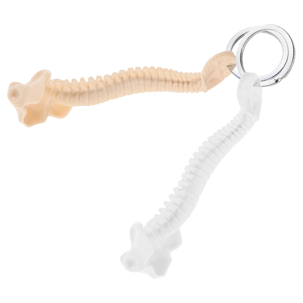 FRCOLOR 2PCS Human Spine Keychain Ring Mini Teaching Display Model ...