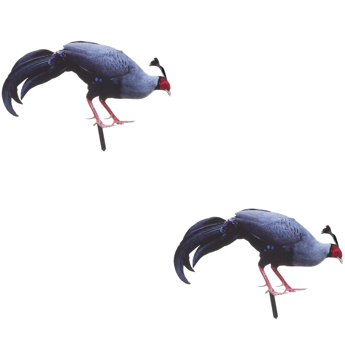 FRCOLOR 2pcs Garden Chicken Stake Yard Realistic Chicken Stake ...