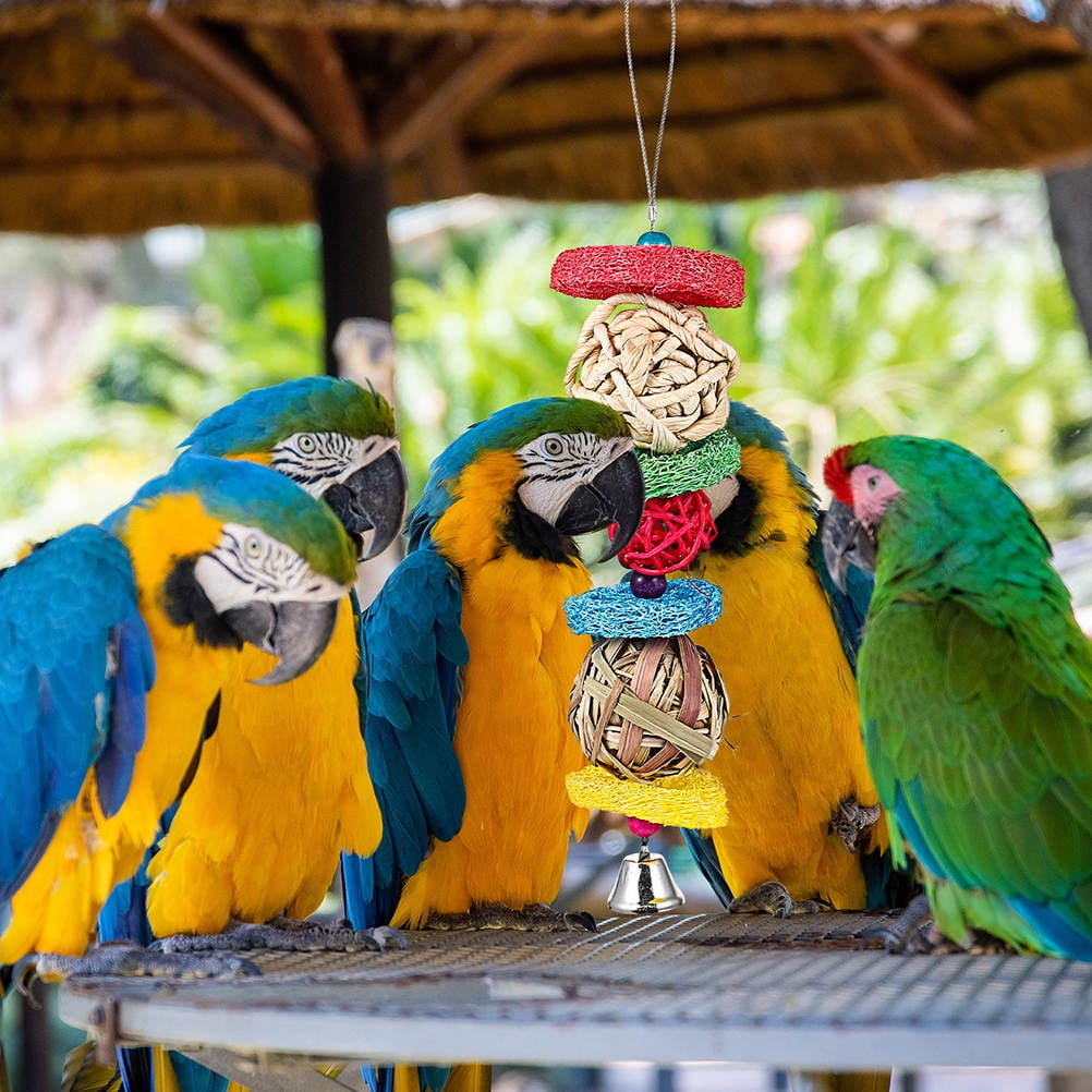 FRCOLOR 2Pcs Shape Bird Chew Toy for Indoor Entertainment and Playtime ...