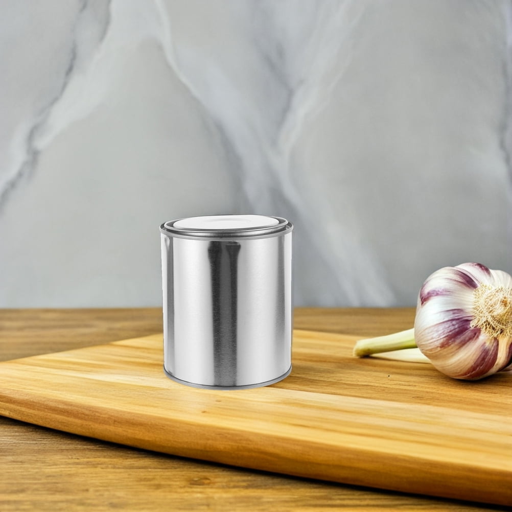 FRCOLOR 3pcs Small Paint Containers Metal Paint Cans with Lids Empty ...