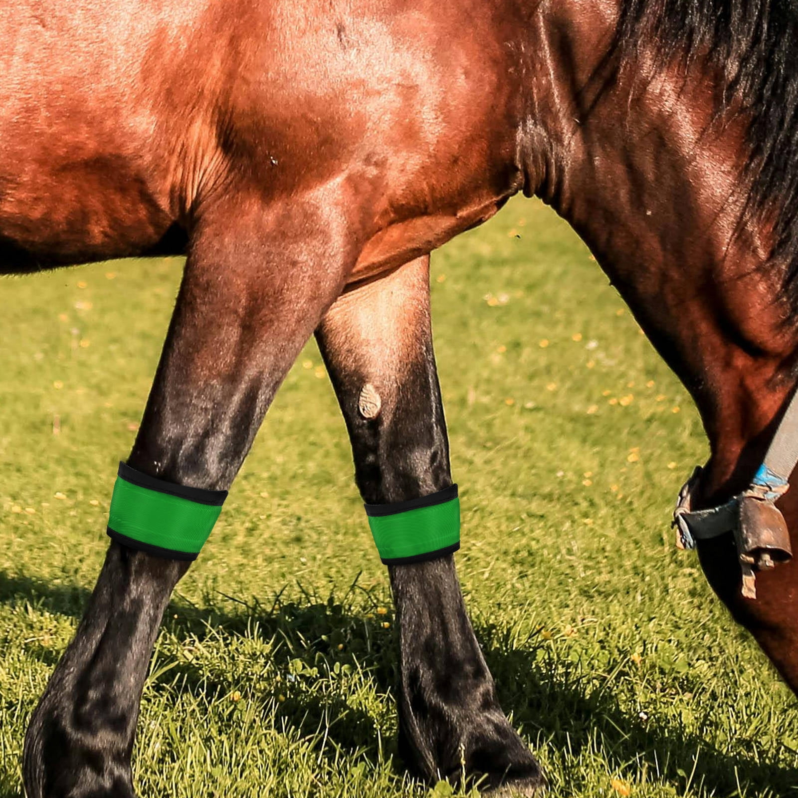 FRCOLOR 4pcs LED Glowing Horse Leg Bands High Visibility Reflective ...