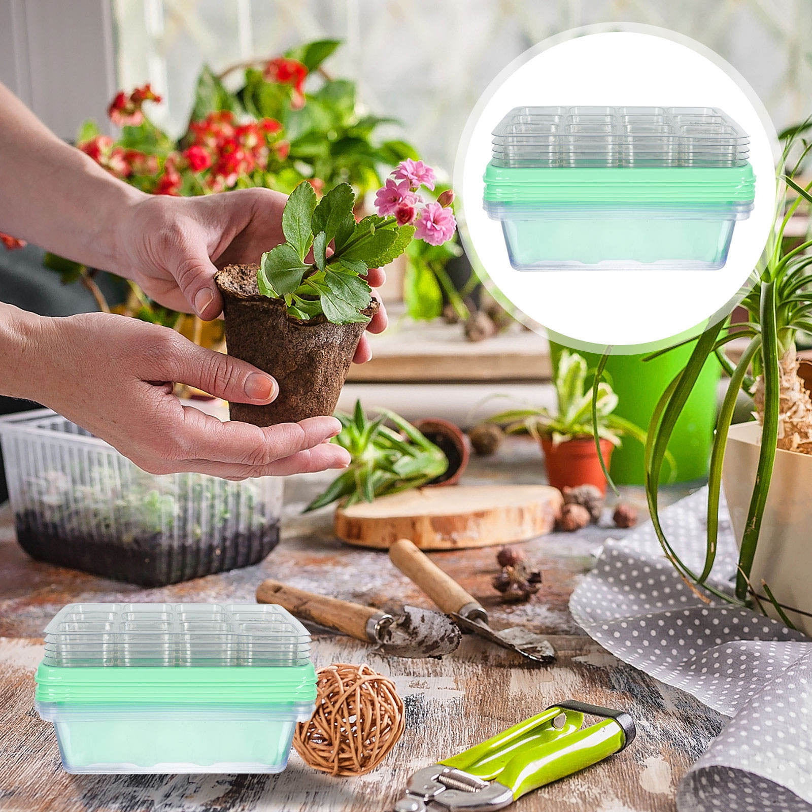 FRCOLOR 5 Sets for Sprouting Seedling Box Flower Growing Tray Nursery ...