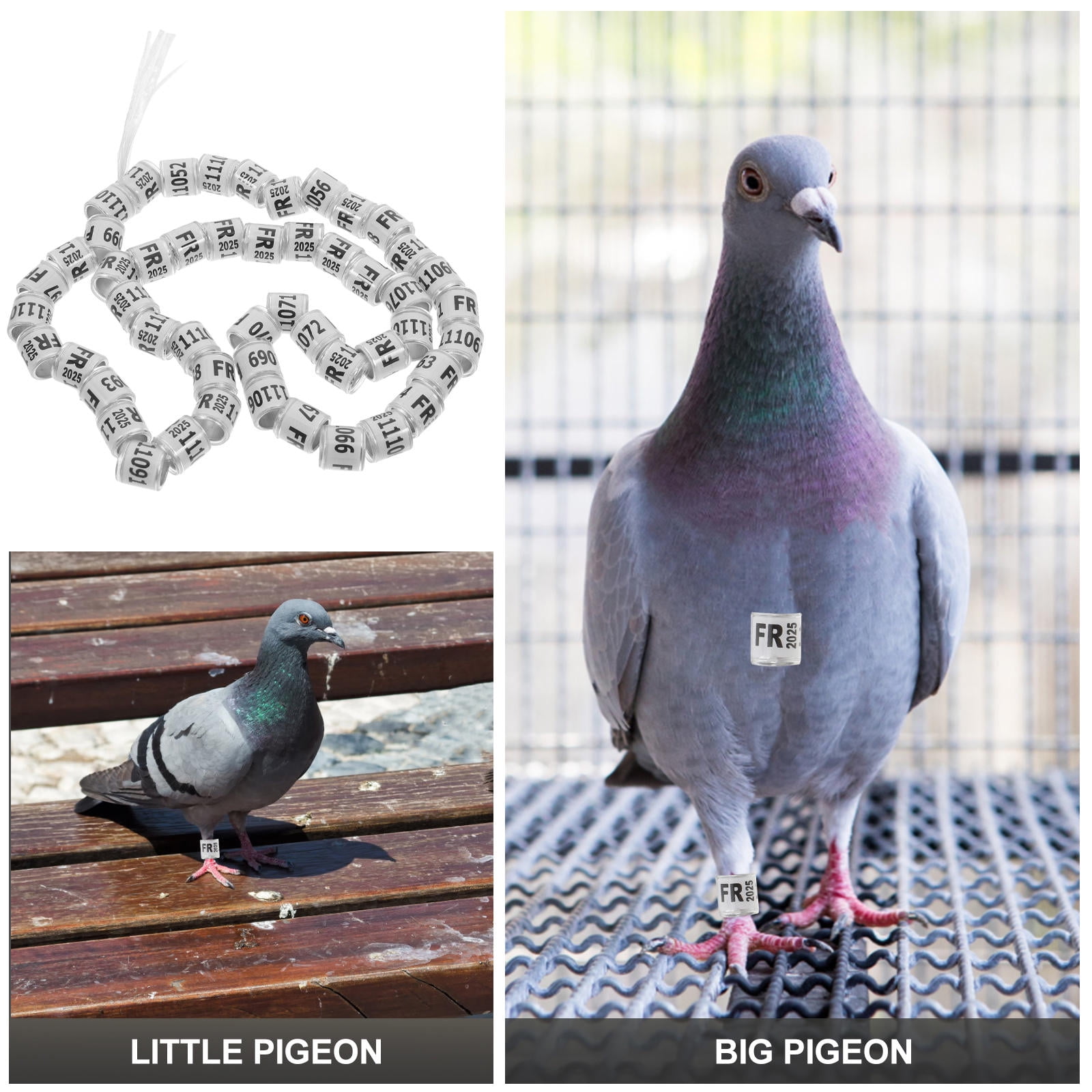 FRCOLOR 50 Pcs Aluminum Pigeon Leg Bands For Bird Identification Foot ...