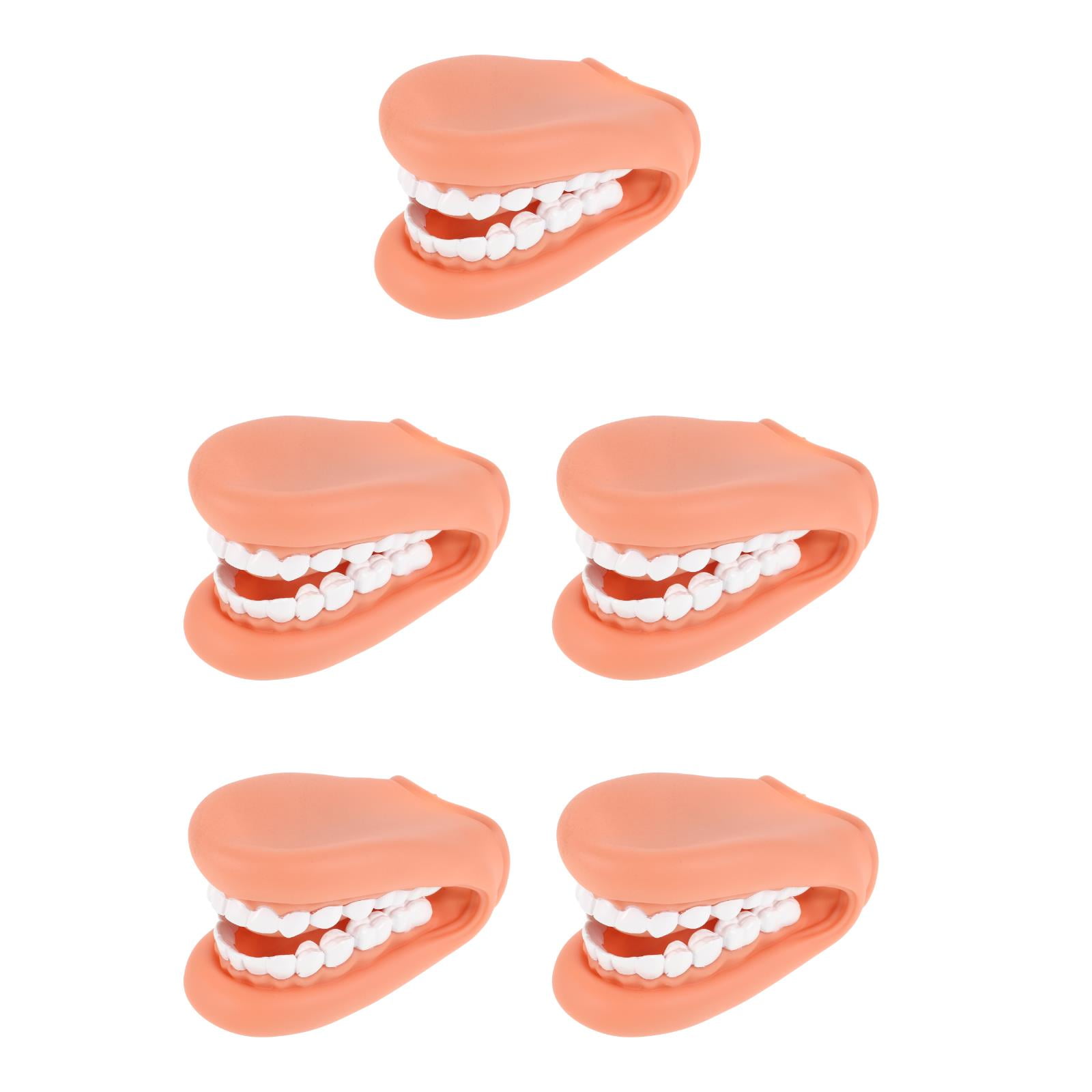 FRCOLOR 5pcs Human Teeth Model Dental Standard Teeth Model Tooth Model ...