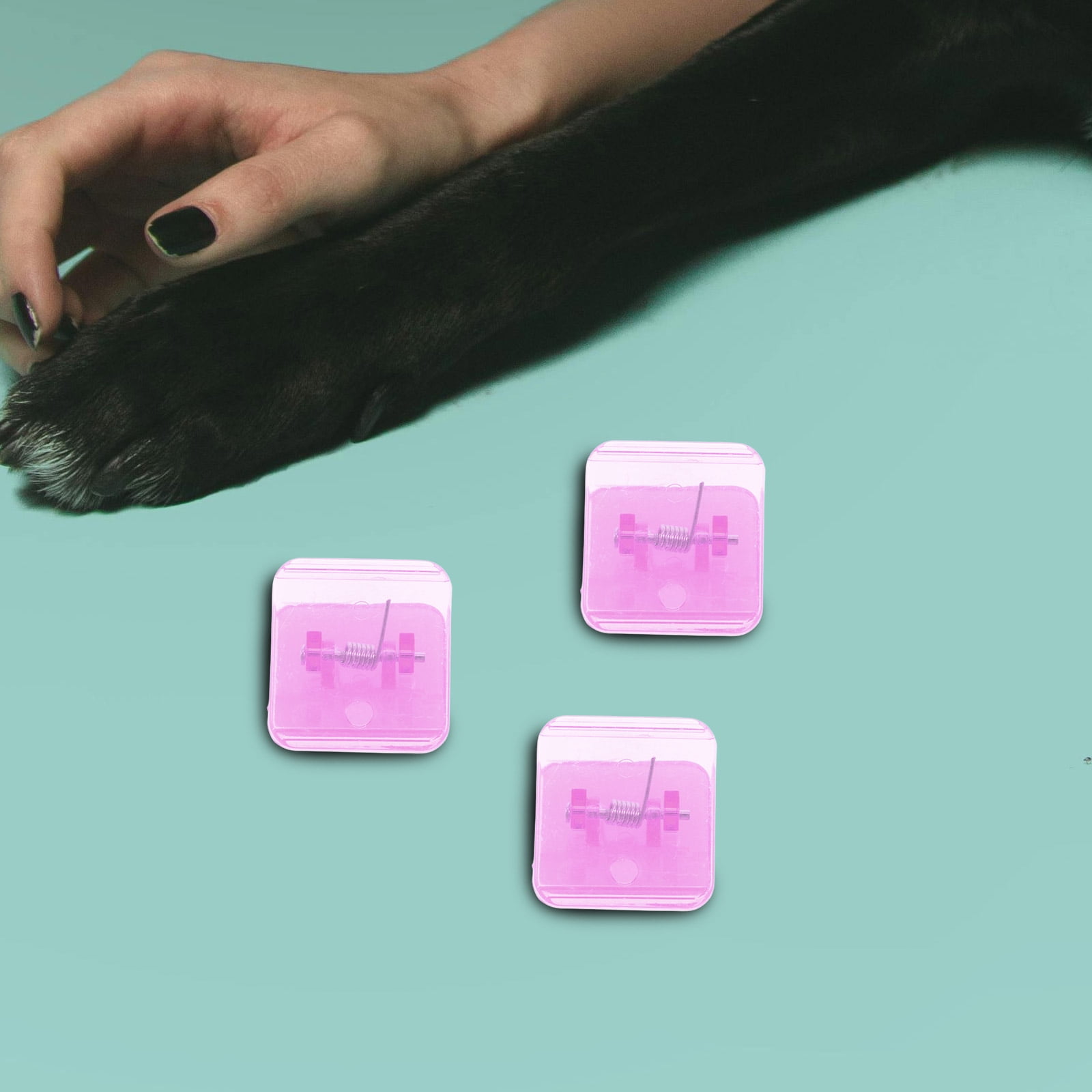 FRCOLOR 6pcs Clear Dog Potty Training Pad Holder Wall Pee Pad Holder ...
