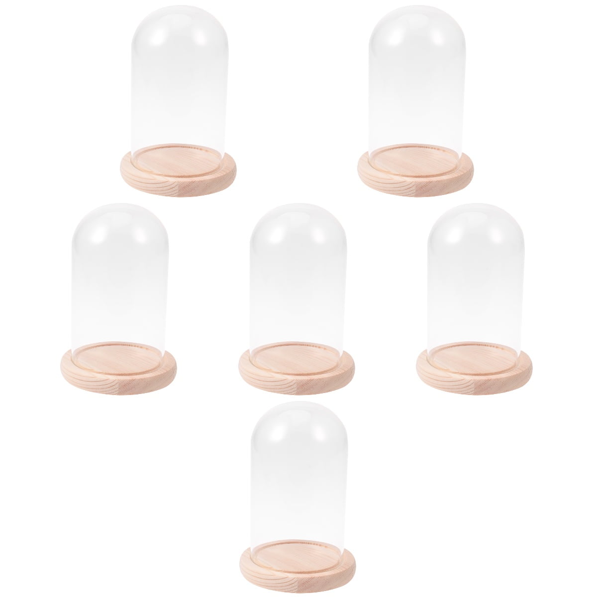 FRCOLOR 6pcs Clear Galss Dome Cloche with Wooden Base Tay Handle Cloche ...