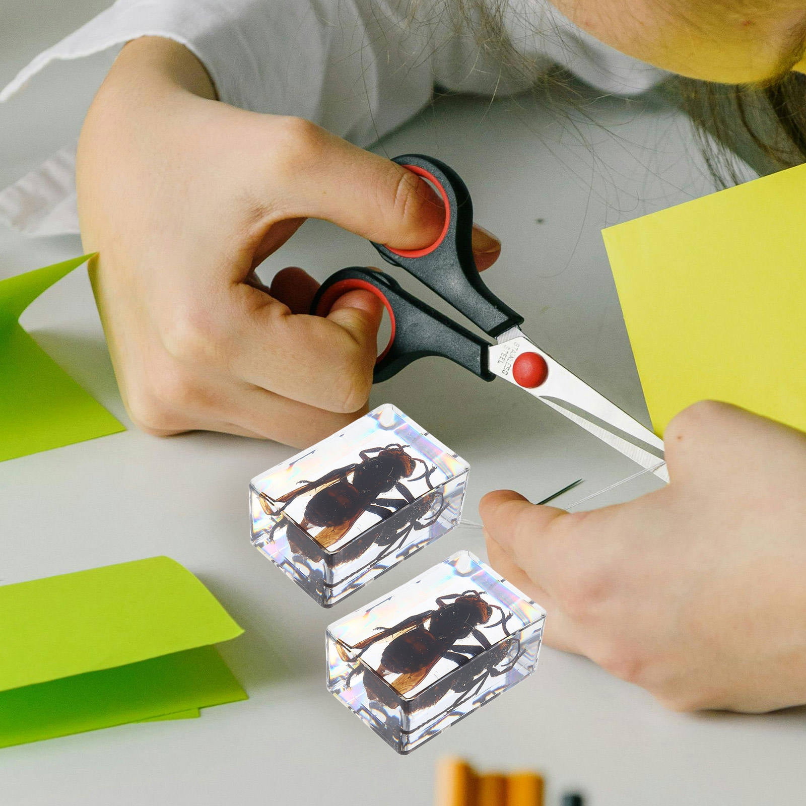 FRCOLOR 6pcs Mini Wasp Figures Insect Specimen Paperweights Resin Bugs ...