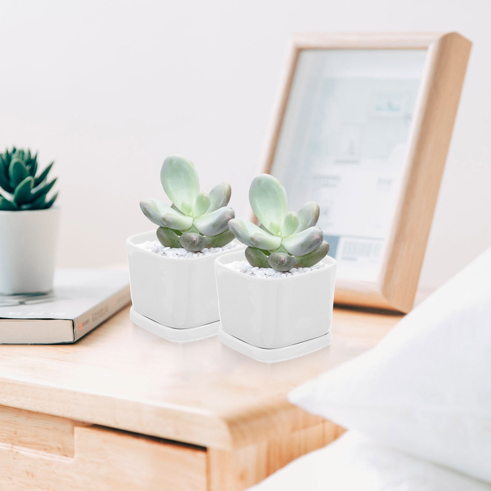 FRCOLOR 6pcs Minimalist White Ceramic Mini Planter Pot with Saucer ...