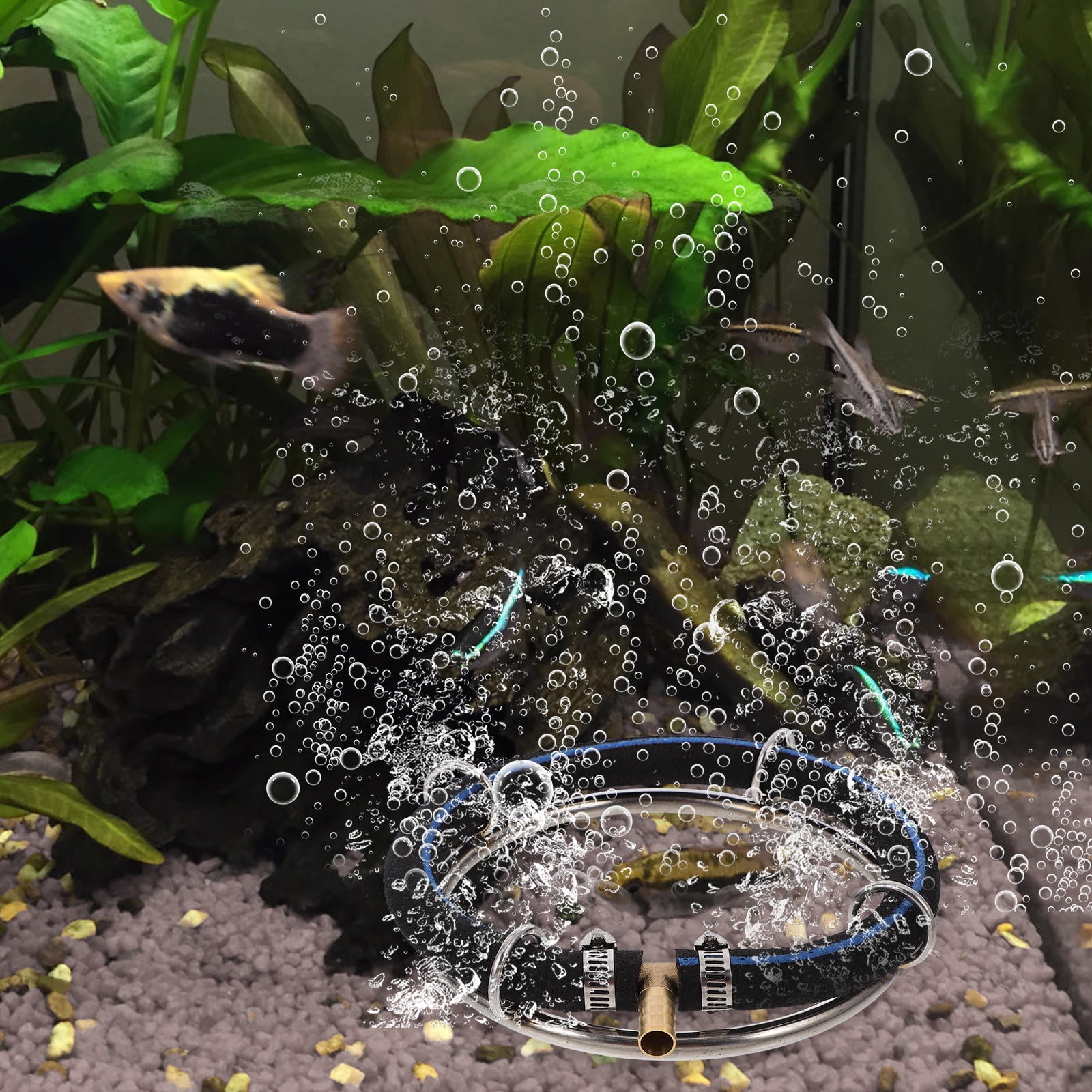 FRCOLOR Aquarium Round Air Bubble Diffuser Ring Fish Pond Oxygenation ...