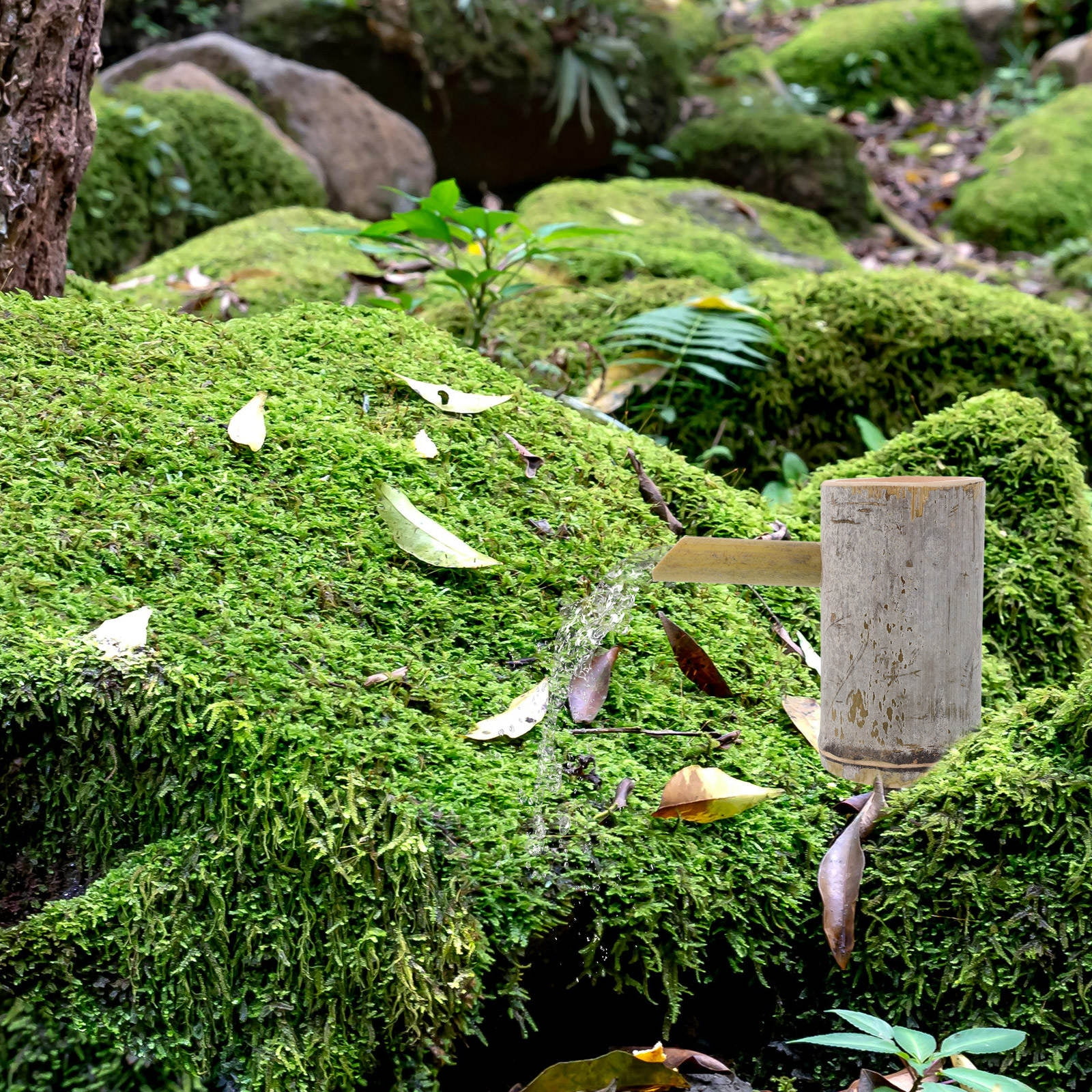 FRCOLOR Bamboo Fountain Spout Water Fountain Spout Indoor and Outdoor ...