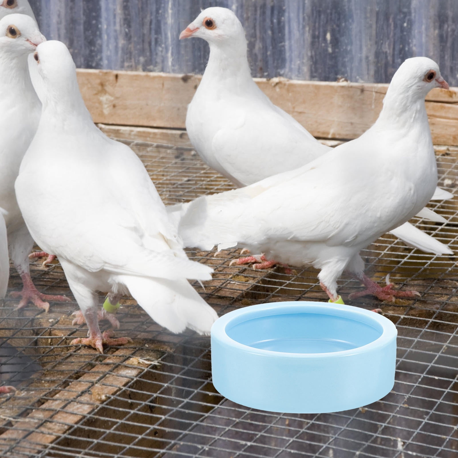 FRCOLOR Bowl Smooth Surface Feeder Poultry Food Container - Walmart.com