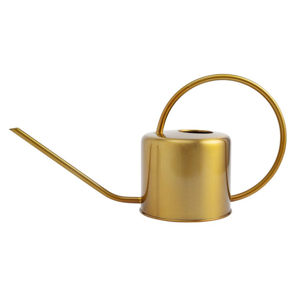 FRCOLOR Brass Watering Can Galvanized Device Flower Pot Goldendoodle ...