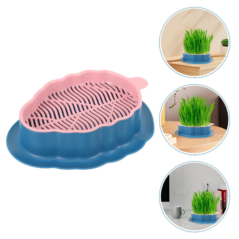 FRCOLOR Catnip Cat Grass Planter Catnip Cat Plant Plant Convenient ...