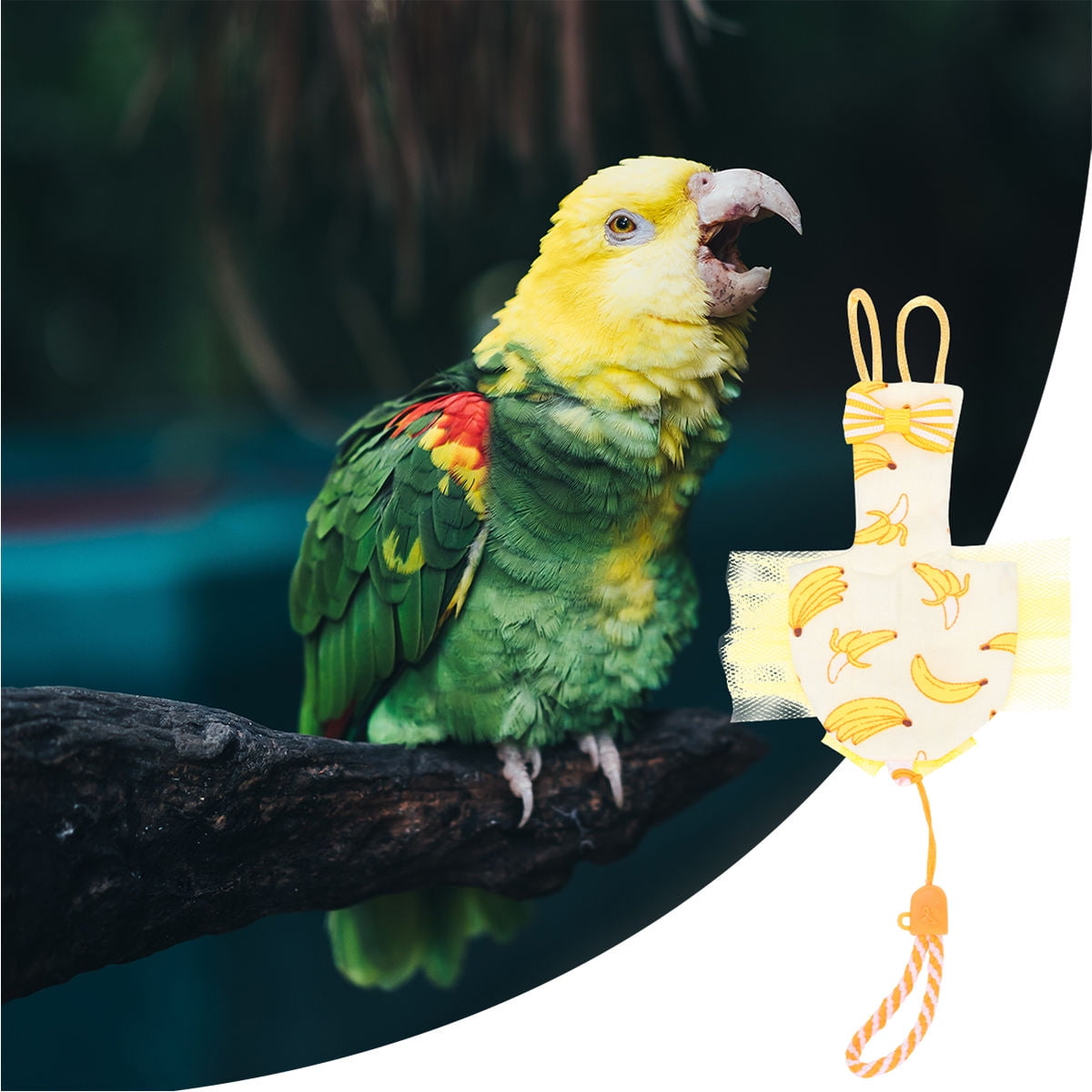 FRCOLOR Clothes for Birds Dog Costumes Diapers Parrot Parakeets Nappy ...