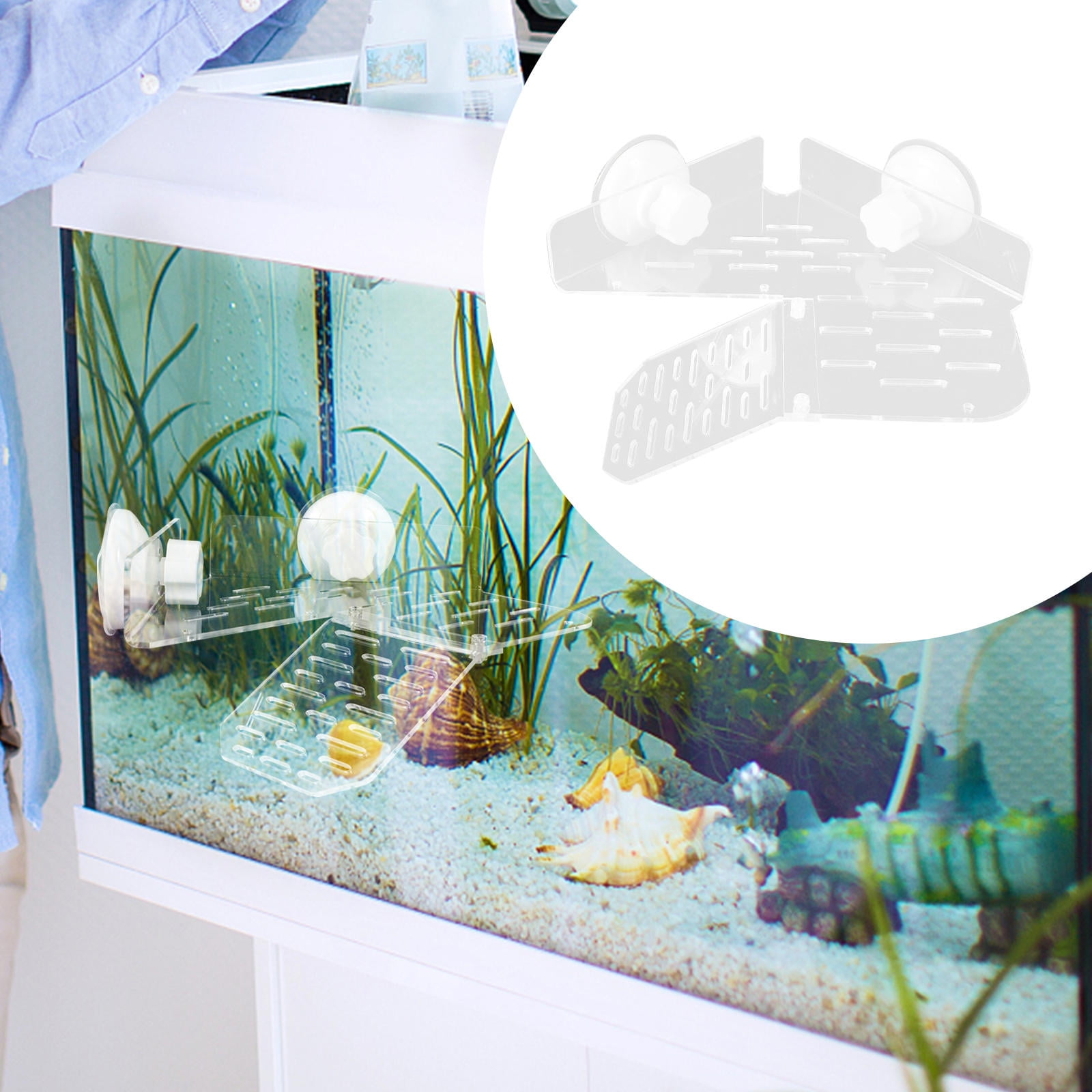 FRCOLOR Cup Reptile Basking Platform Turtle Aquarium Terrace Growth ...