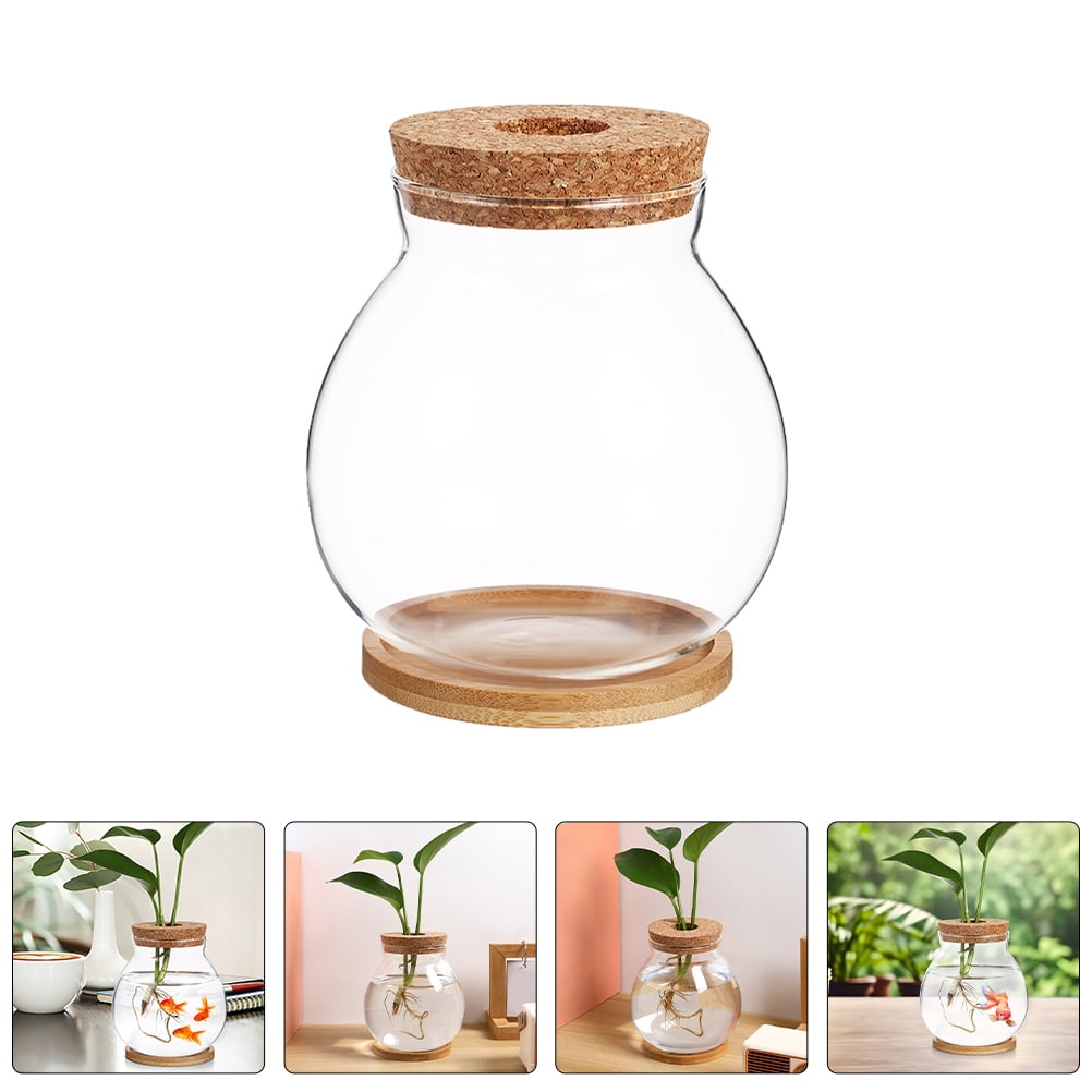 FRCOLOR Desktop Glass Planter Hydroponics Vase Clear Glass Flower ...