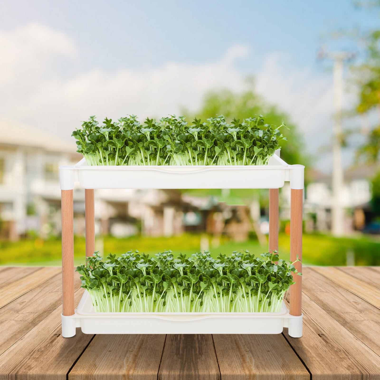 FRCOLOR Double Layer Mesh Hole Sprouting Tray Microgreens Tray Sprouts ...