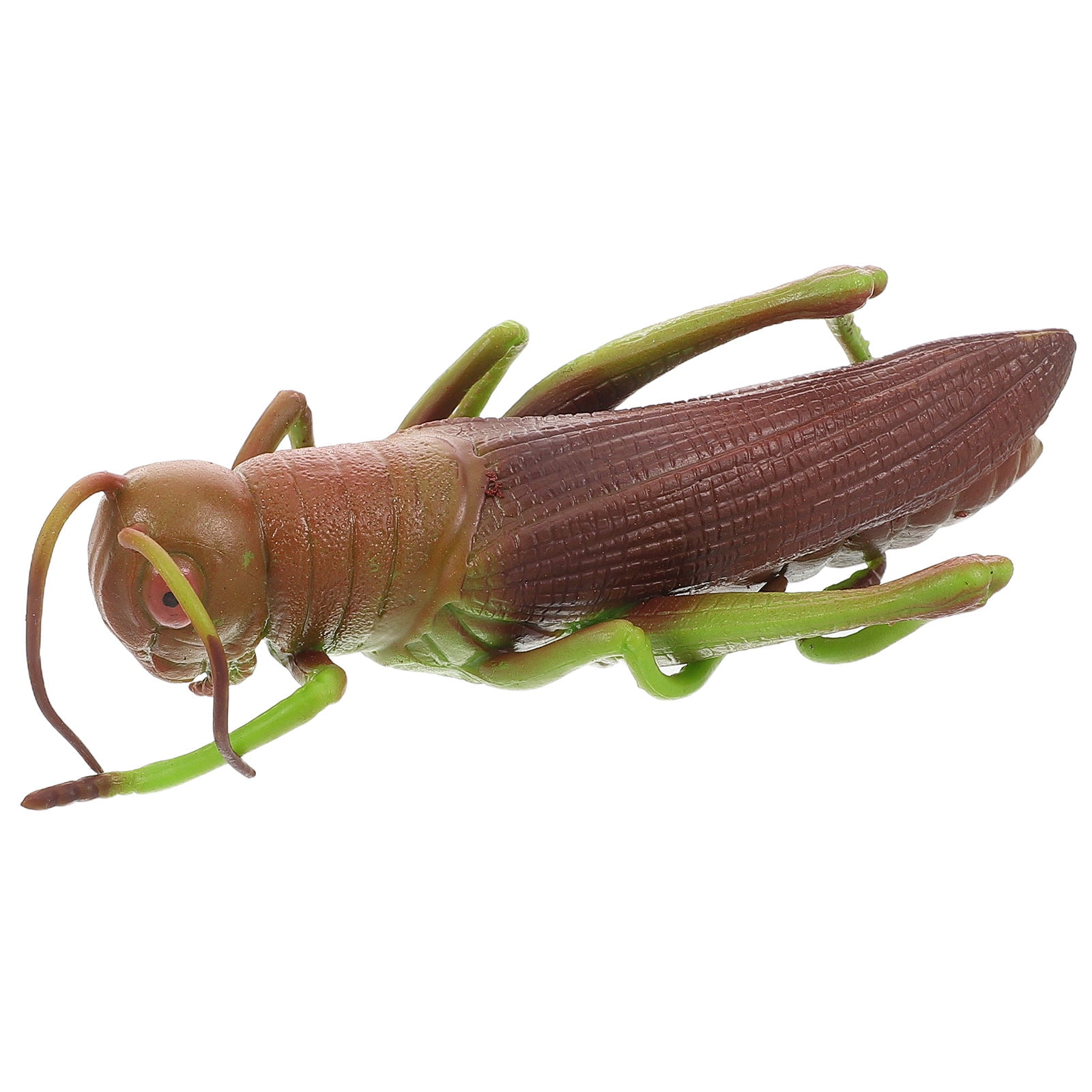 FRCOLOR Educational Grasshopper Toys for Kids Realistic Insect Figures ...