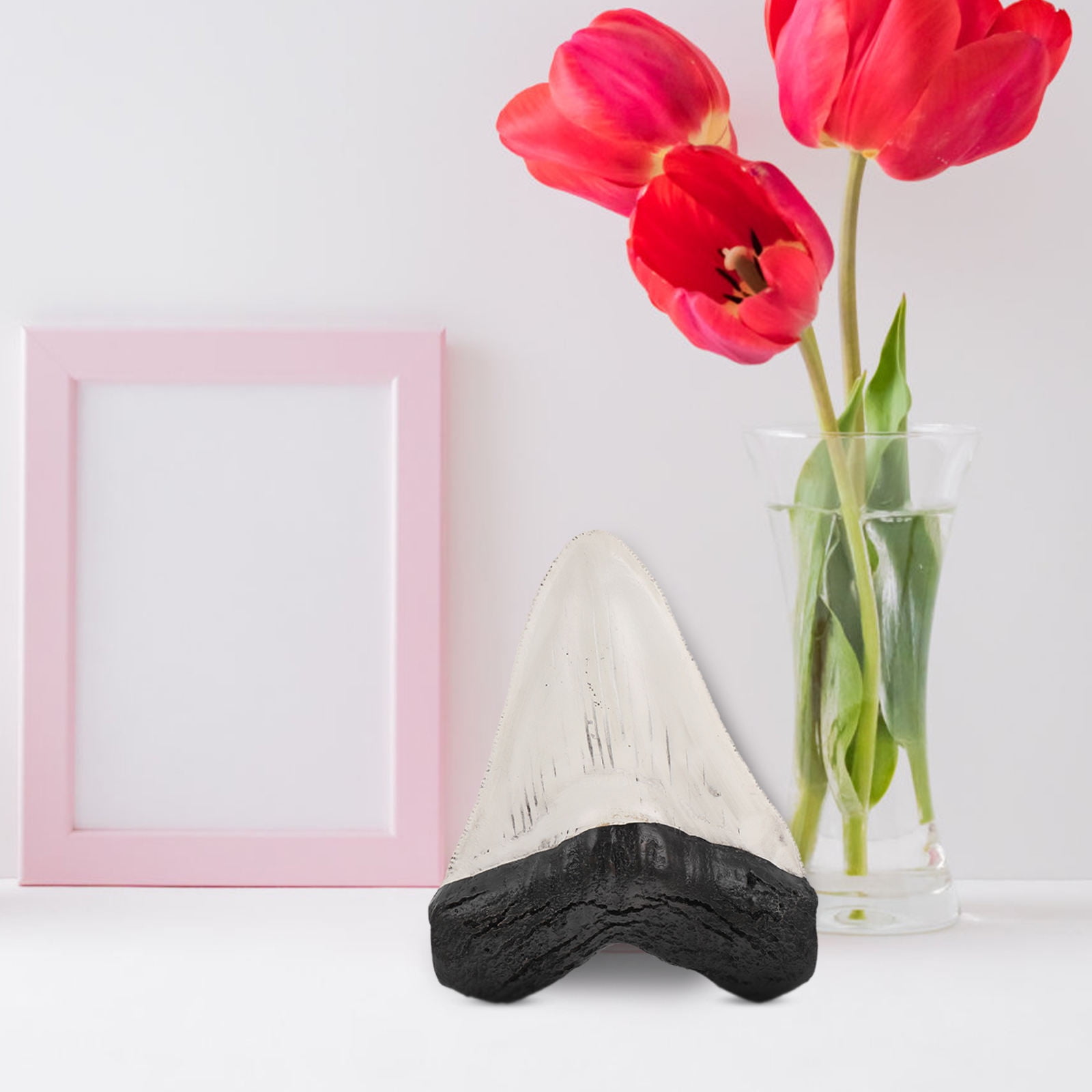 FRCOLOR Fake Fossilized Prehistoric Shark Teeth Realistic Shark Teeth ...