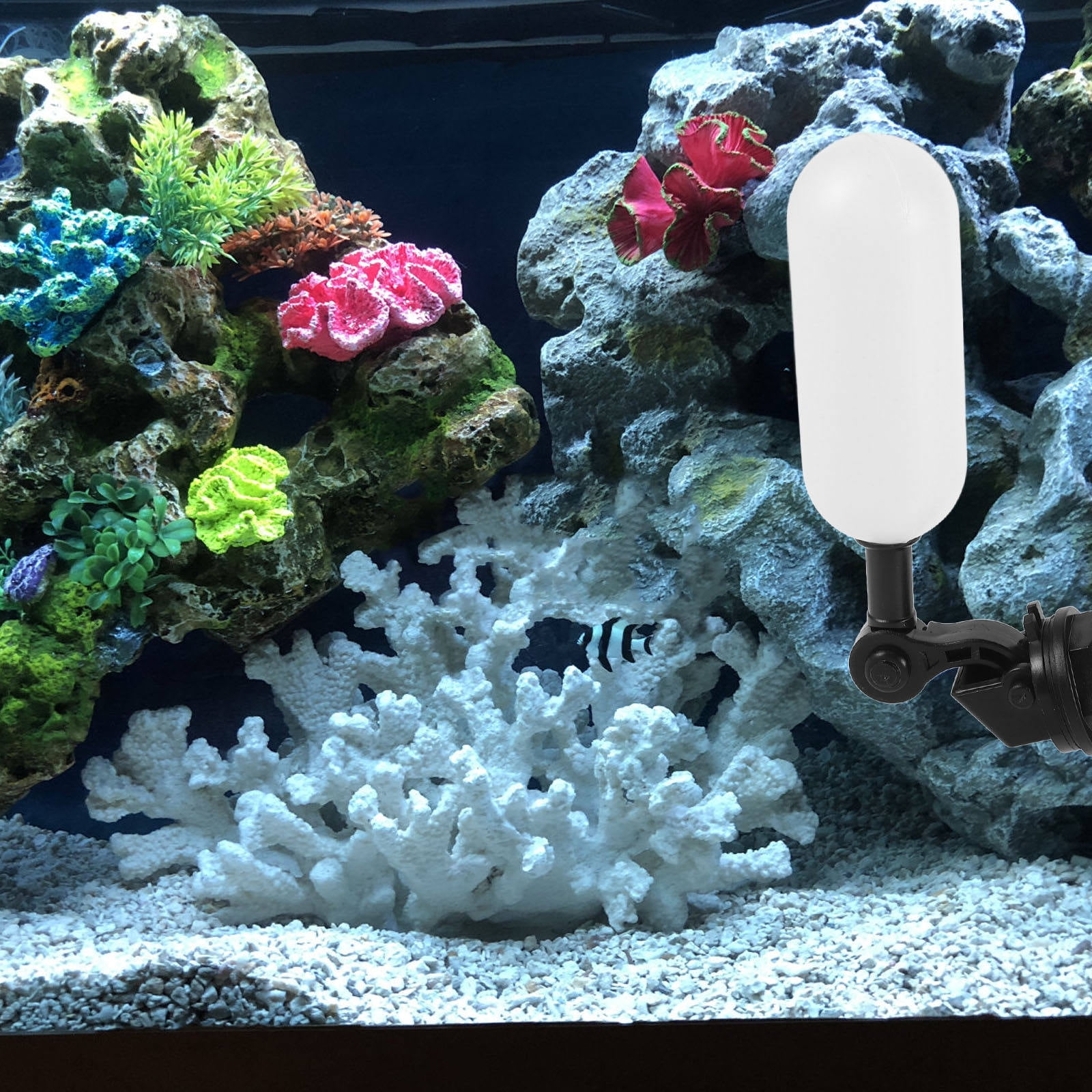 FRCOLOR Float Ball Valve Plastic Water Float Valve Mini Plastic Float ...