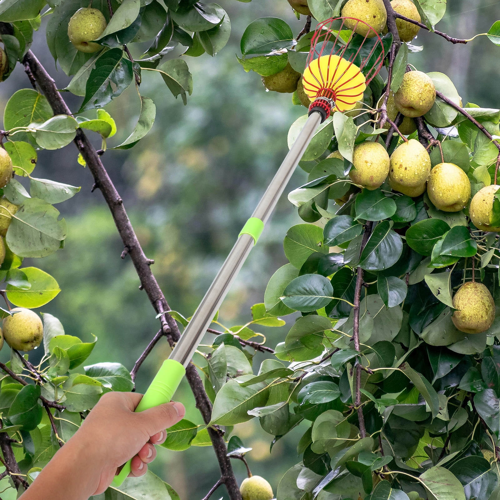 FRCOLOR Fruit Picker Foot Fruit Picker Pole With Basket Apple Orange ...